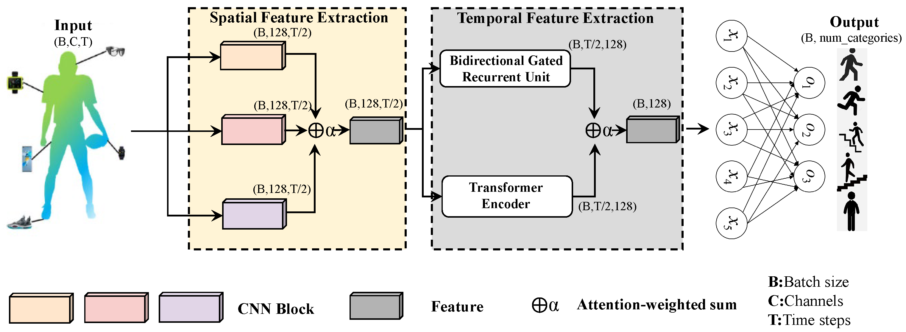 Attention-Based CNN-BiGRU-Transformer Model for Human Activity ...