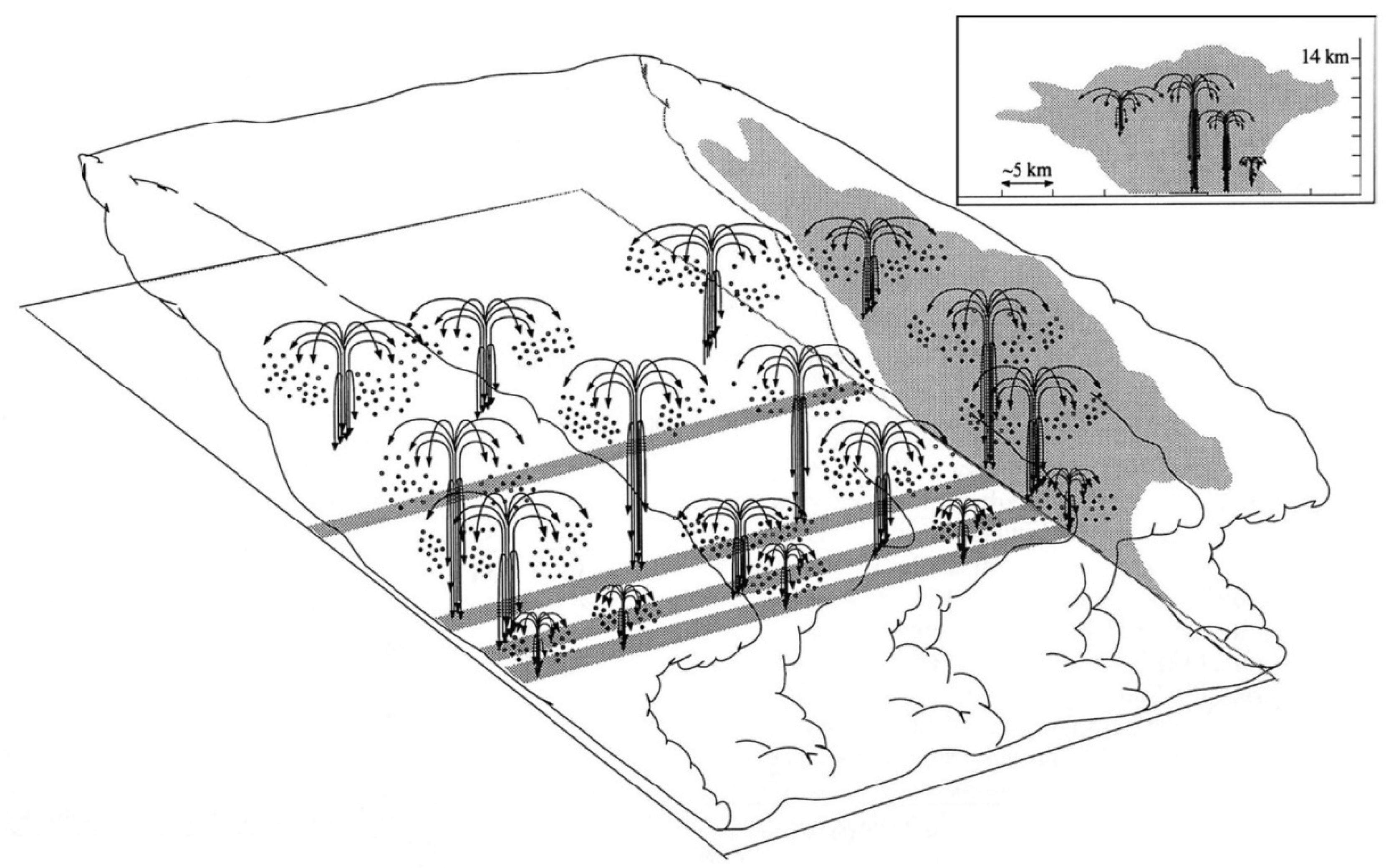 Hail: Mechanisms, Monitoring, Forecasting, Damages, Financial ...