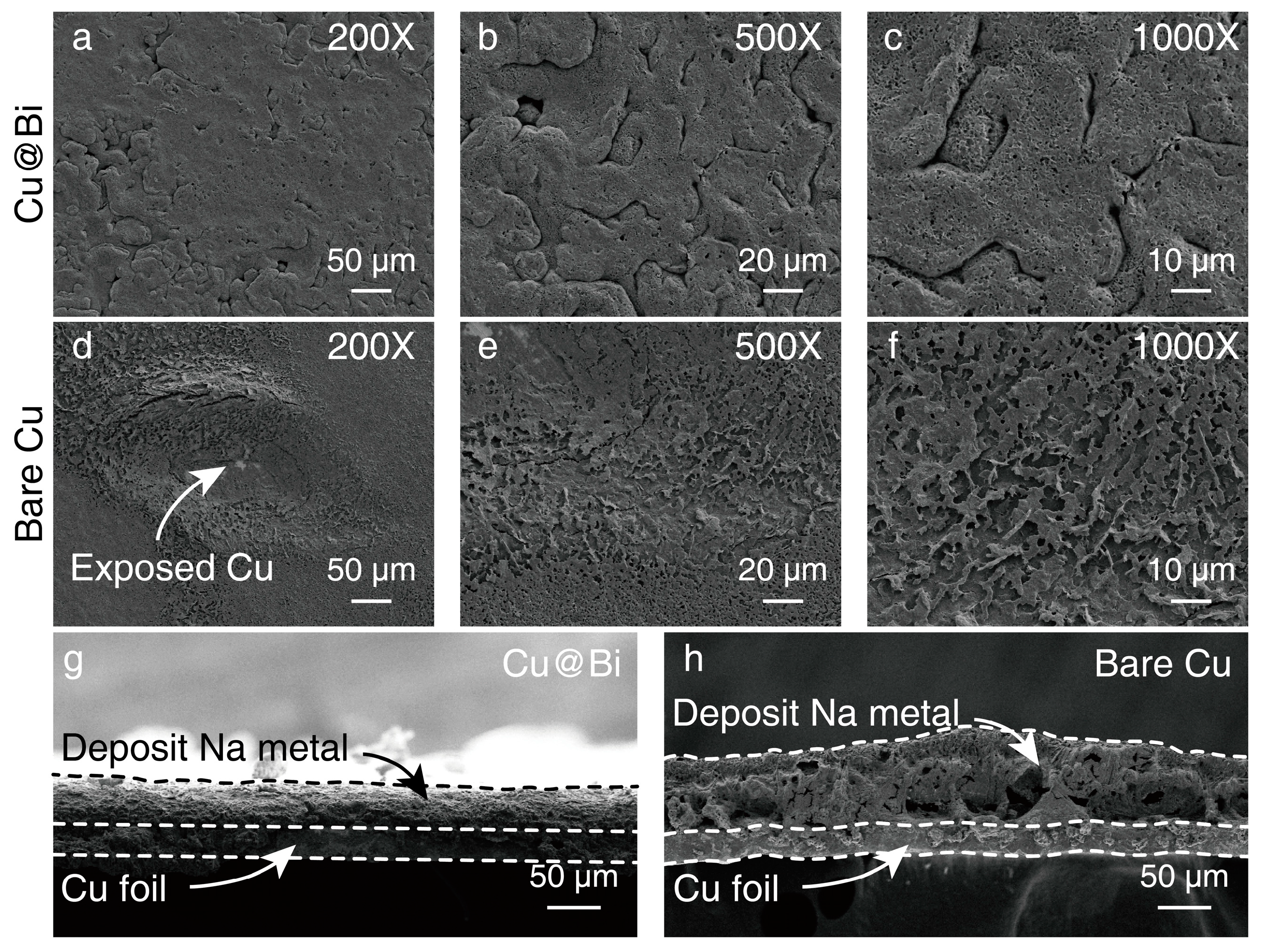 In-Situ Alloy-Modified Sodiophilic Current Collectors for Anode-Less ...