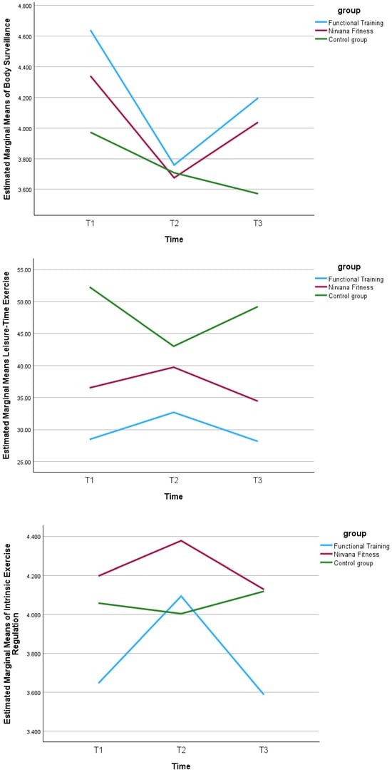 Sustainability of Positive Body Image Changes One Year After Exercise ...