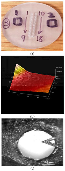 Three-Dimensional (3D) Printed Microneedles for Microencapsulated Cell ...