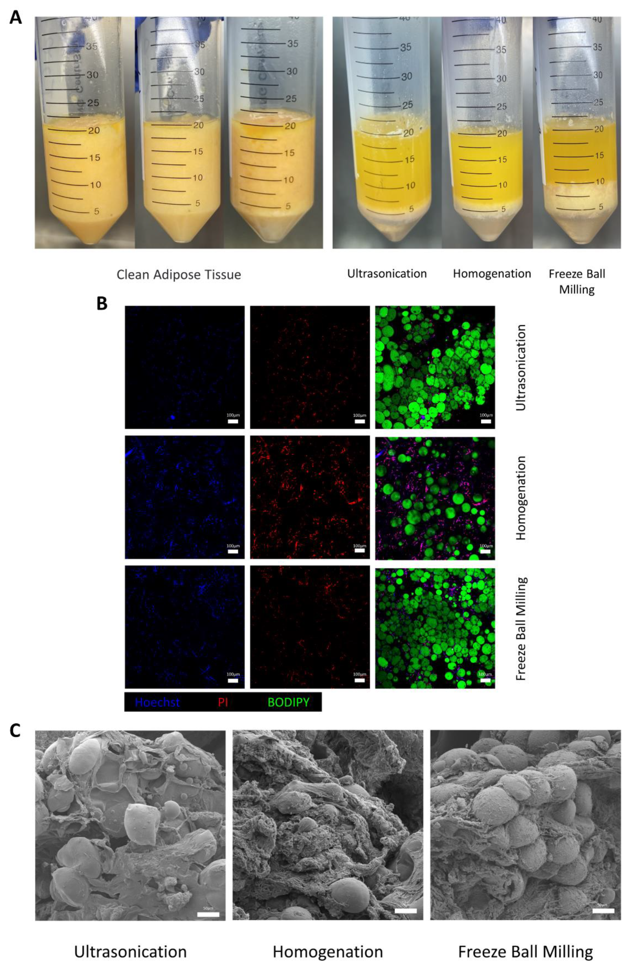 Selection of Mechanical Fragmentation Methods Based on Enzyme-Free ...