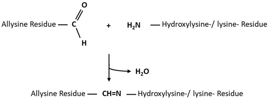 A Glutaraldehyde-Free Crosslinking Method for the Treatment of Collagen ...