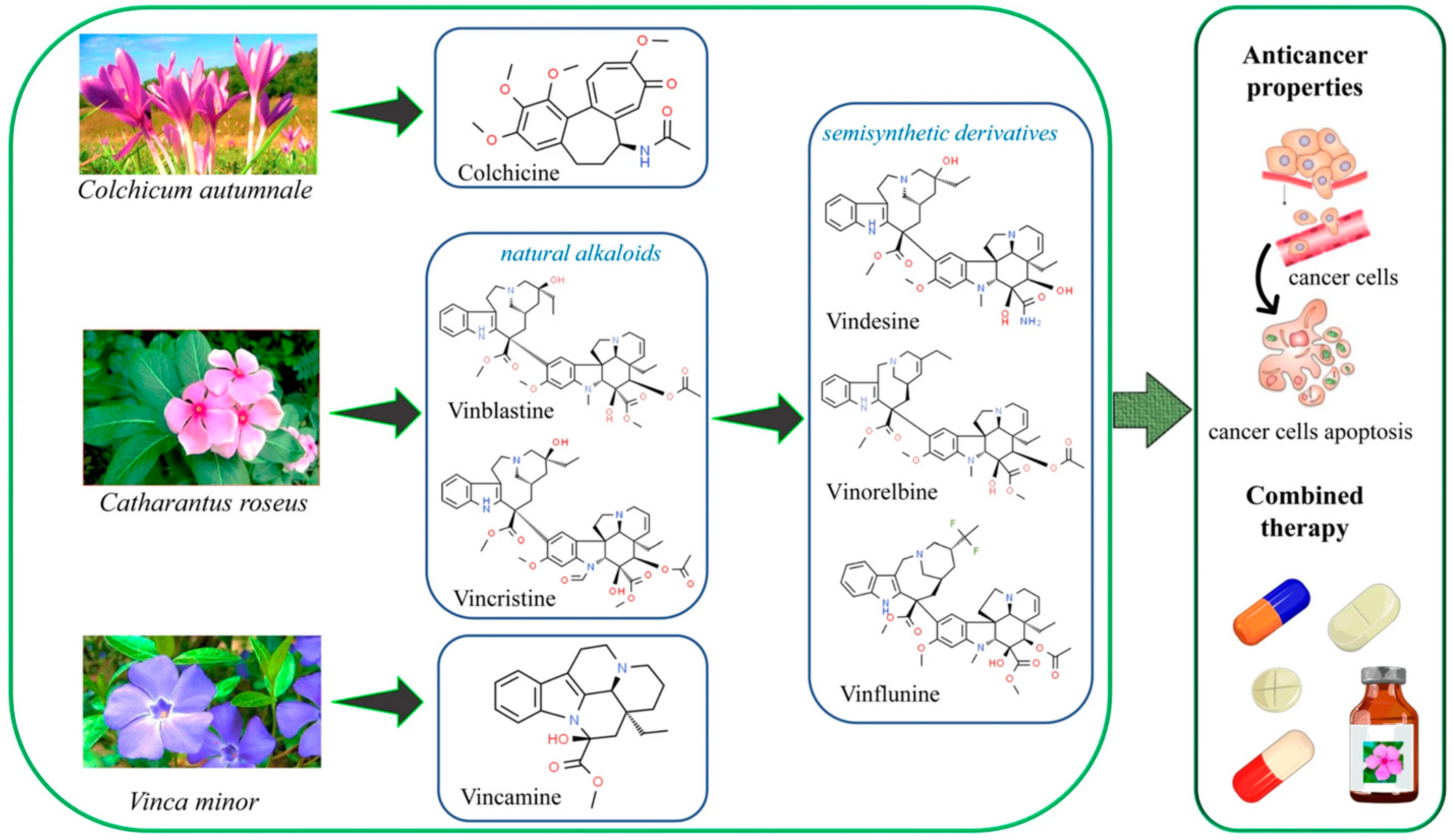 Plant-Derived Anti-Cancer Therapeutics and Biopharmaceuticals | MDPI