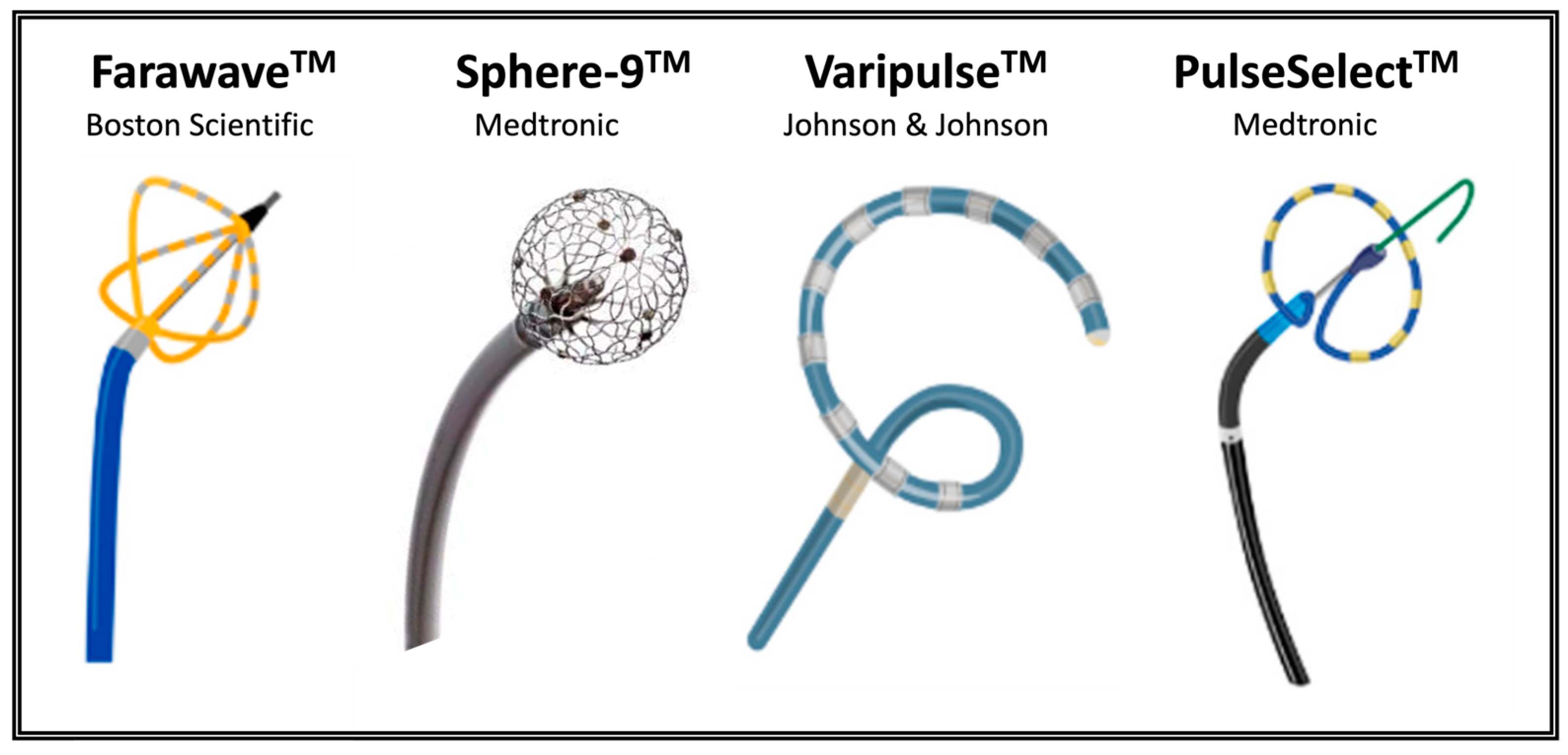 Pulsed Field Ablation: A Review of Preclinical and Clinical Studies | MDPI