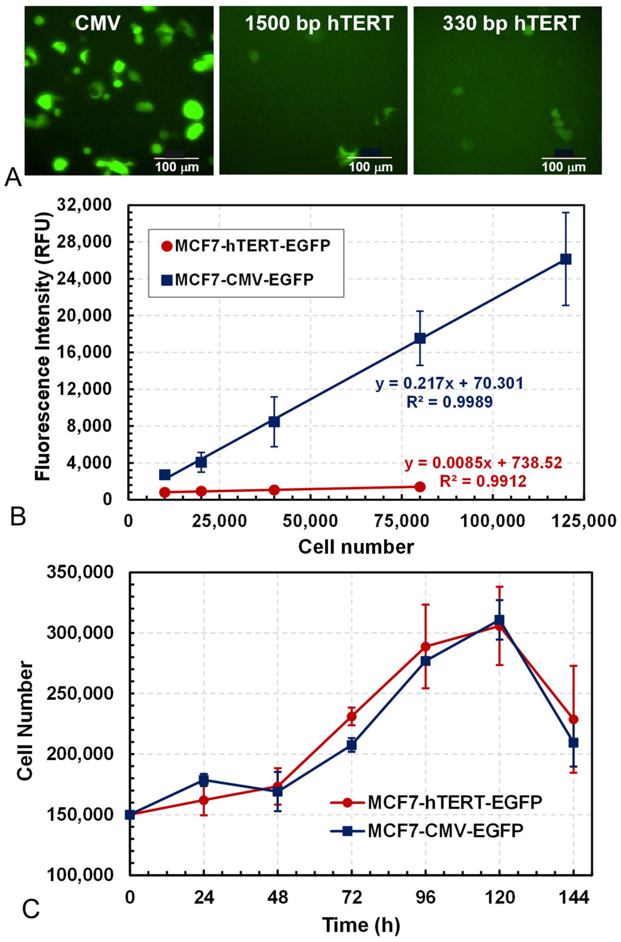 Development of 3D Cell-Based Fluorescent Reporter Assay for Screening ...