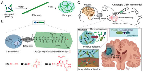Peptide–Drug Conjugates as Next-Generation Therapeutics: Exploring the ...