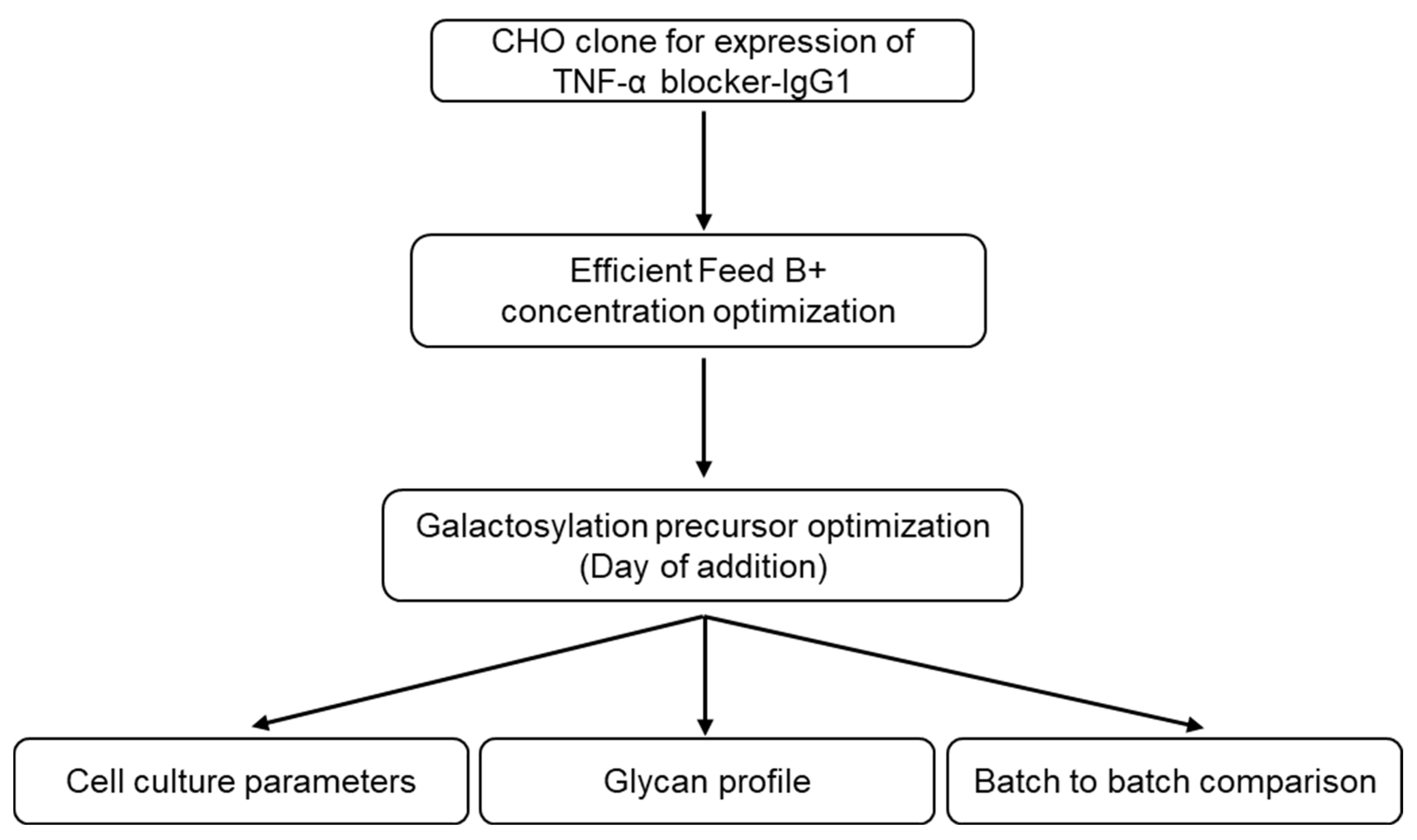 Enhancing the Total Terminal Galactosylation of CHO Cell-Derived TNF-α ...