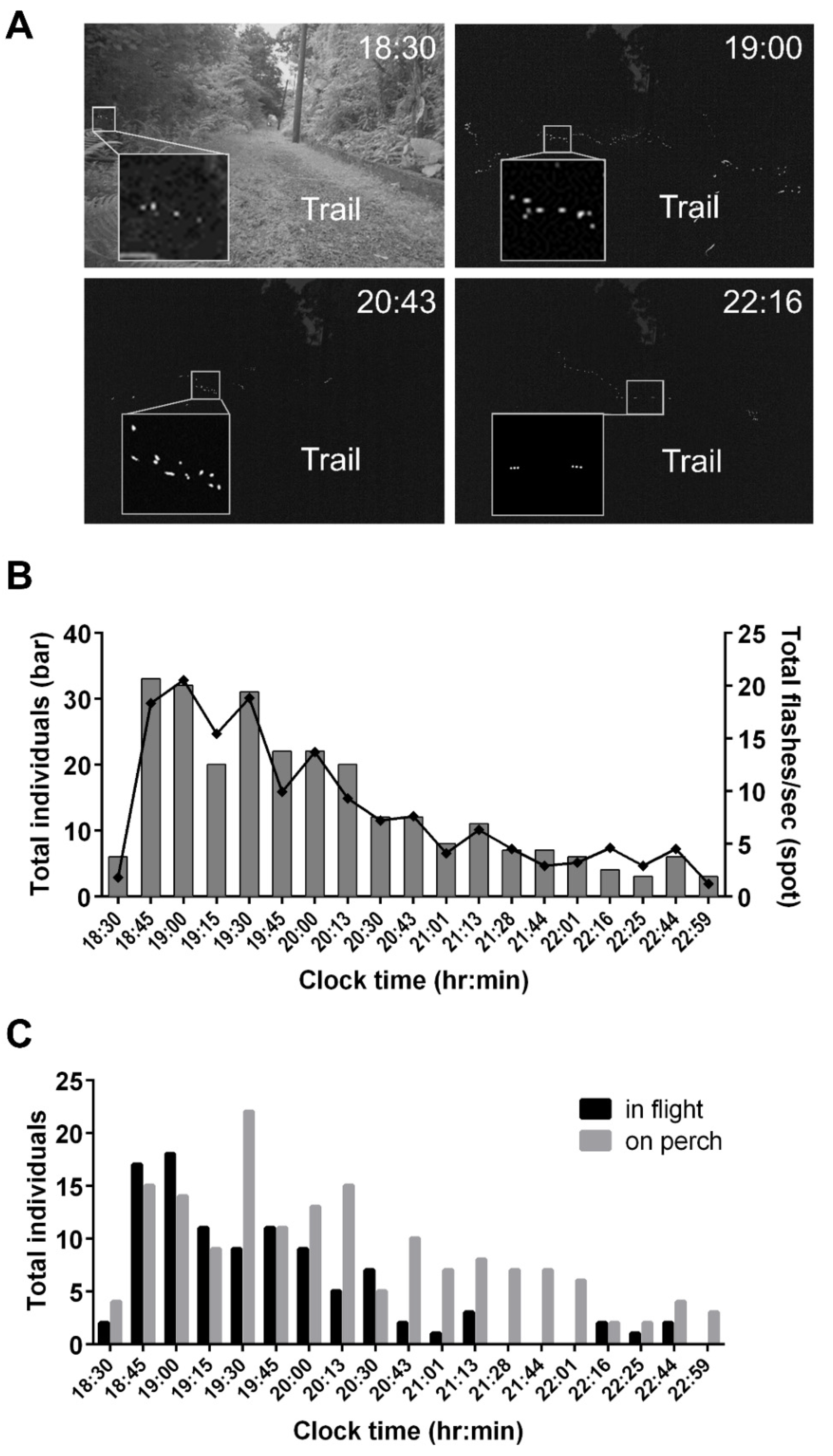 Species-Specific Flash Patterns Track the Nocturnal Behavior of ...