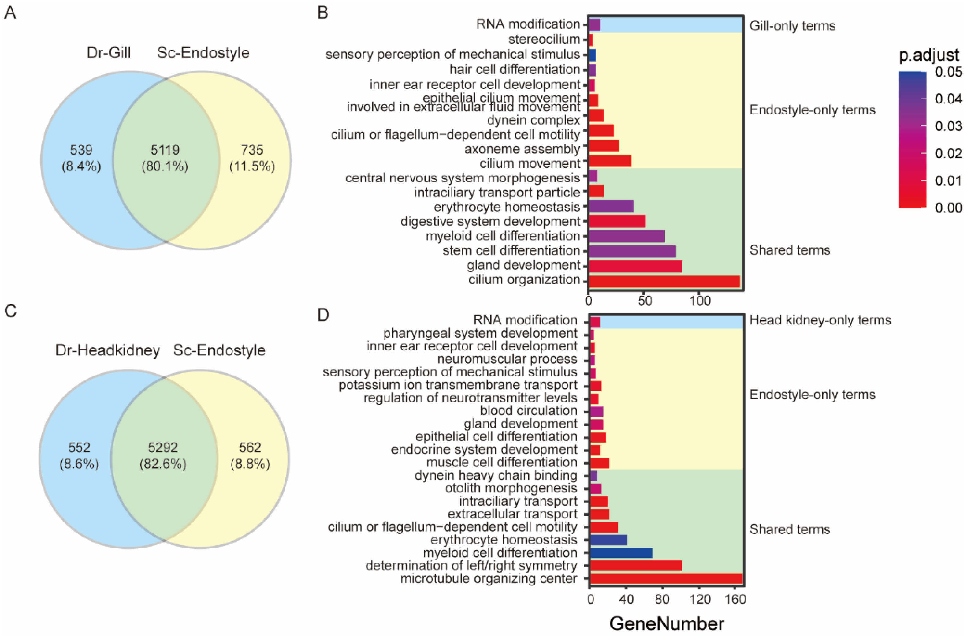 Transcriptional Analysis of the Endostyle Reveals Pharyngeal Organ ...