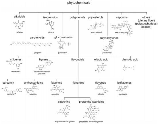 Phytochemicals: Principles and Practice | MDPI