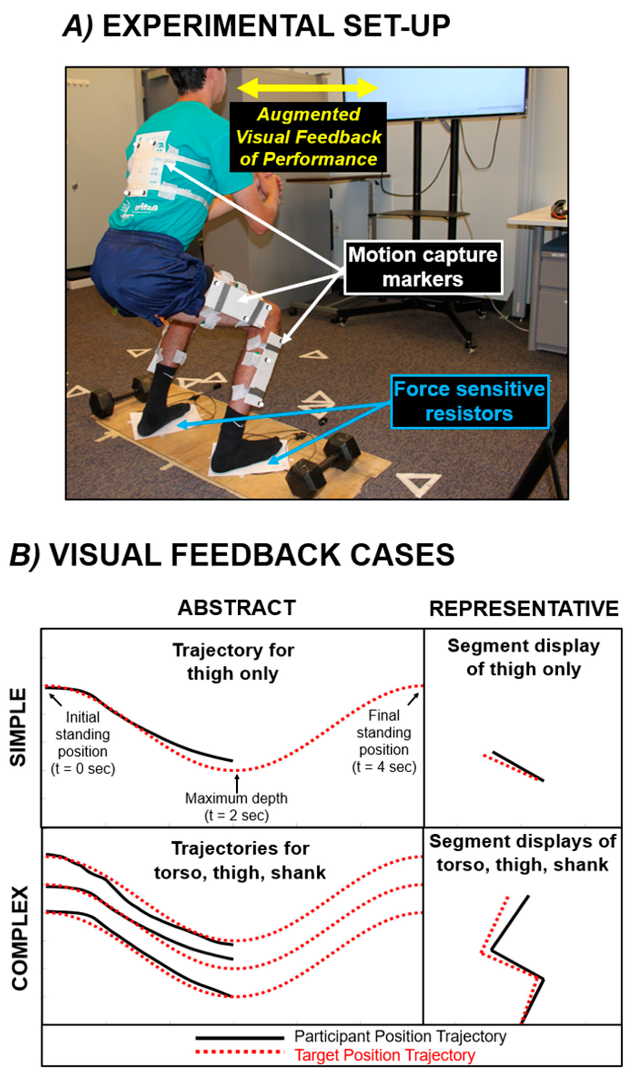 Joint Moment Responses to Different Modes of Augmented Visual Feedback ...
