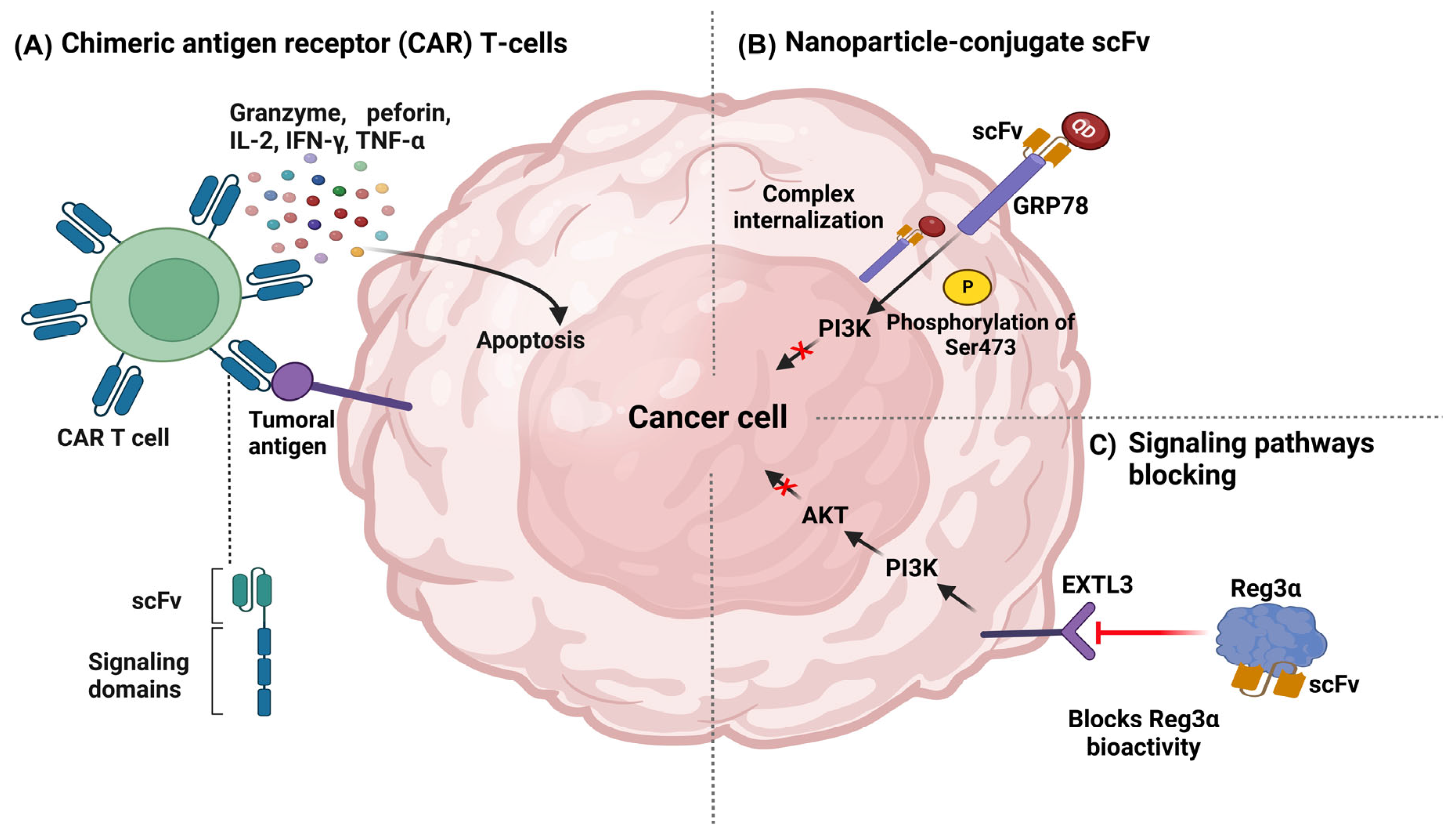 Mechanisms of Action and Limitations of Monoclonal Antibodies and ...