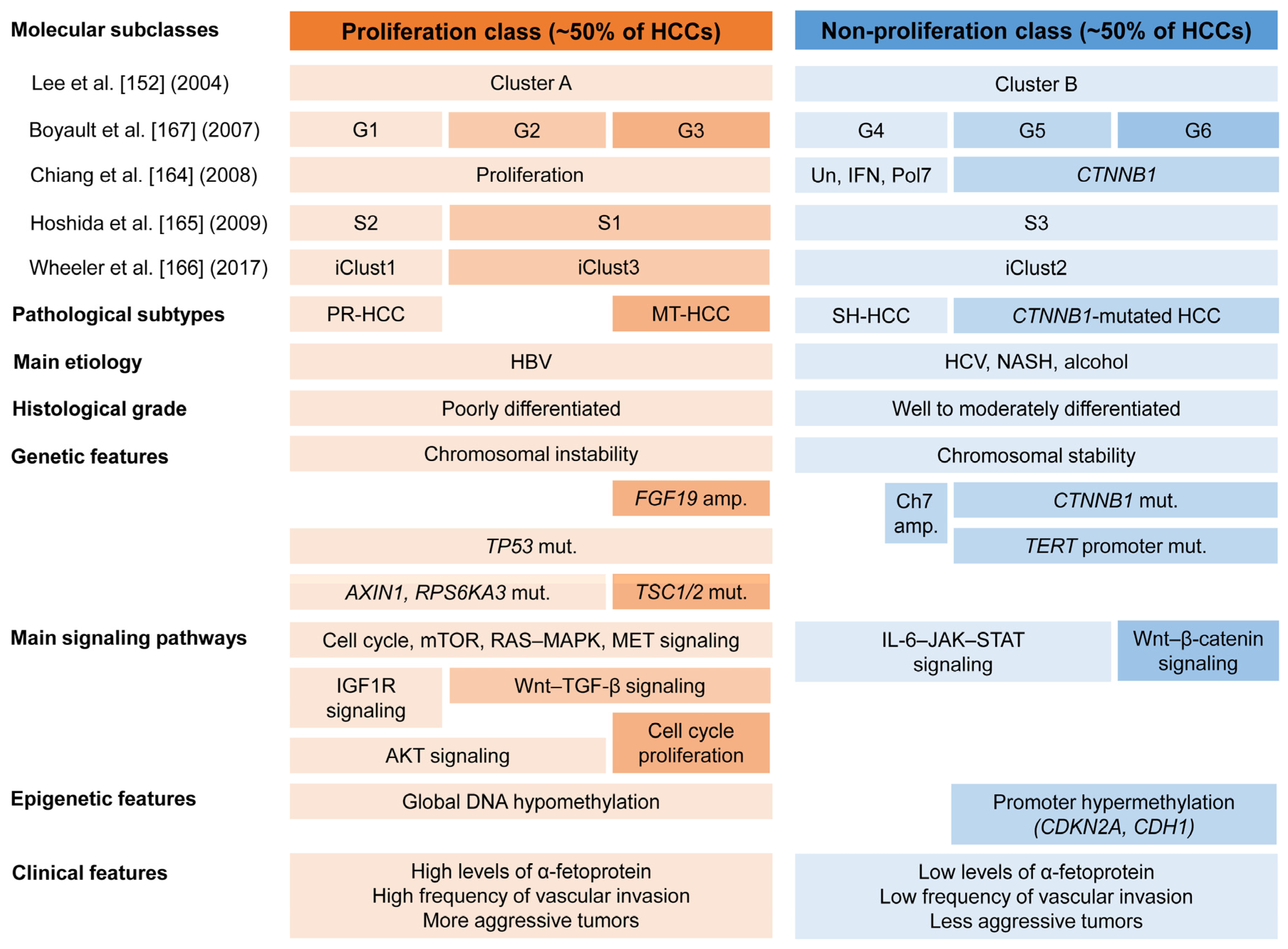 Advances in Histological and Molecular Classification of Hepatocellular ...