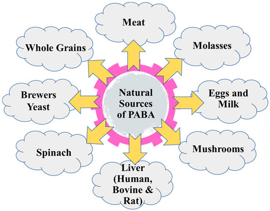 Novel Para-Aminobenzoic Acid Analogs and Their Potential Therapeutic ...