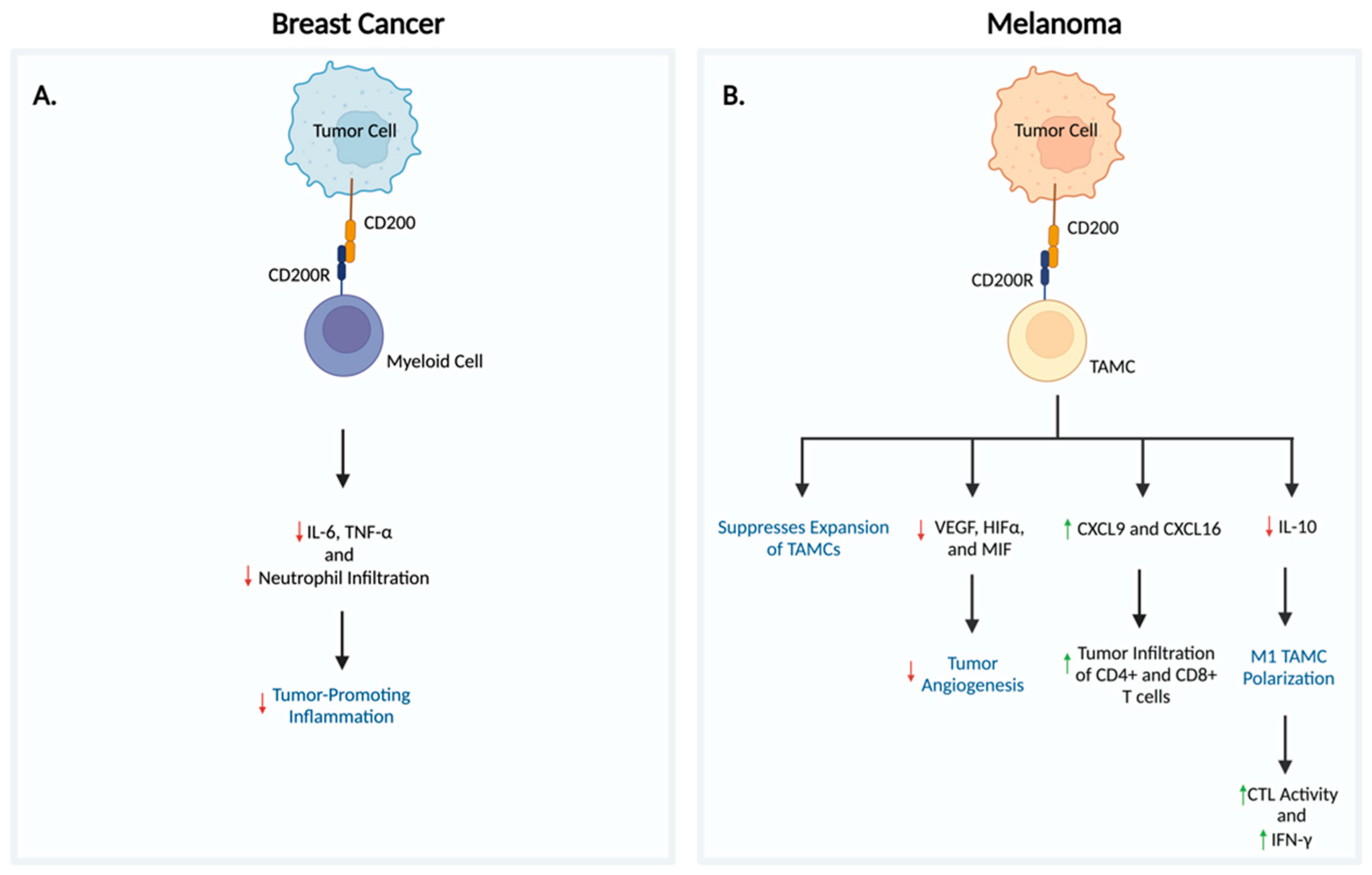 CD200/CD200R: Bidirectional Role in Cancer Progression and ...