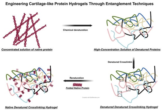 Applications of Hydrogels in Osteoarthritis Treatment | MDPI