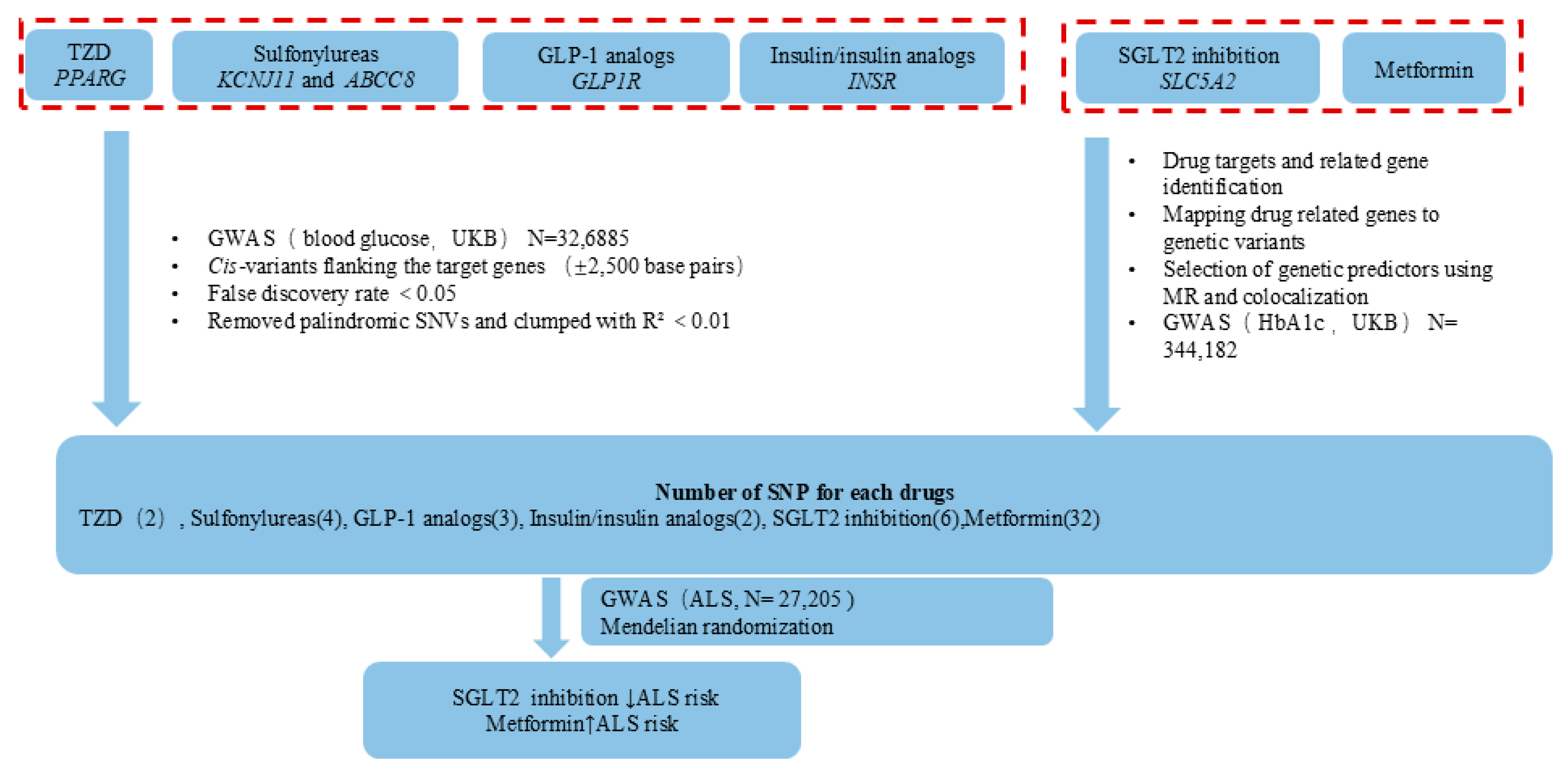 Genetic Variation in Targets of Antidiabetic Drugs and Amyotrophic ...