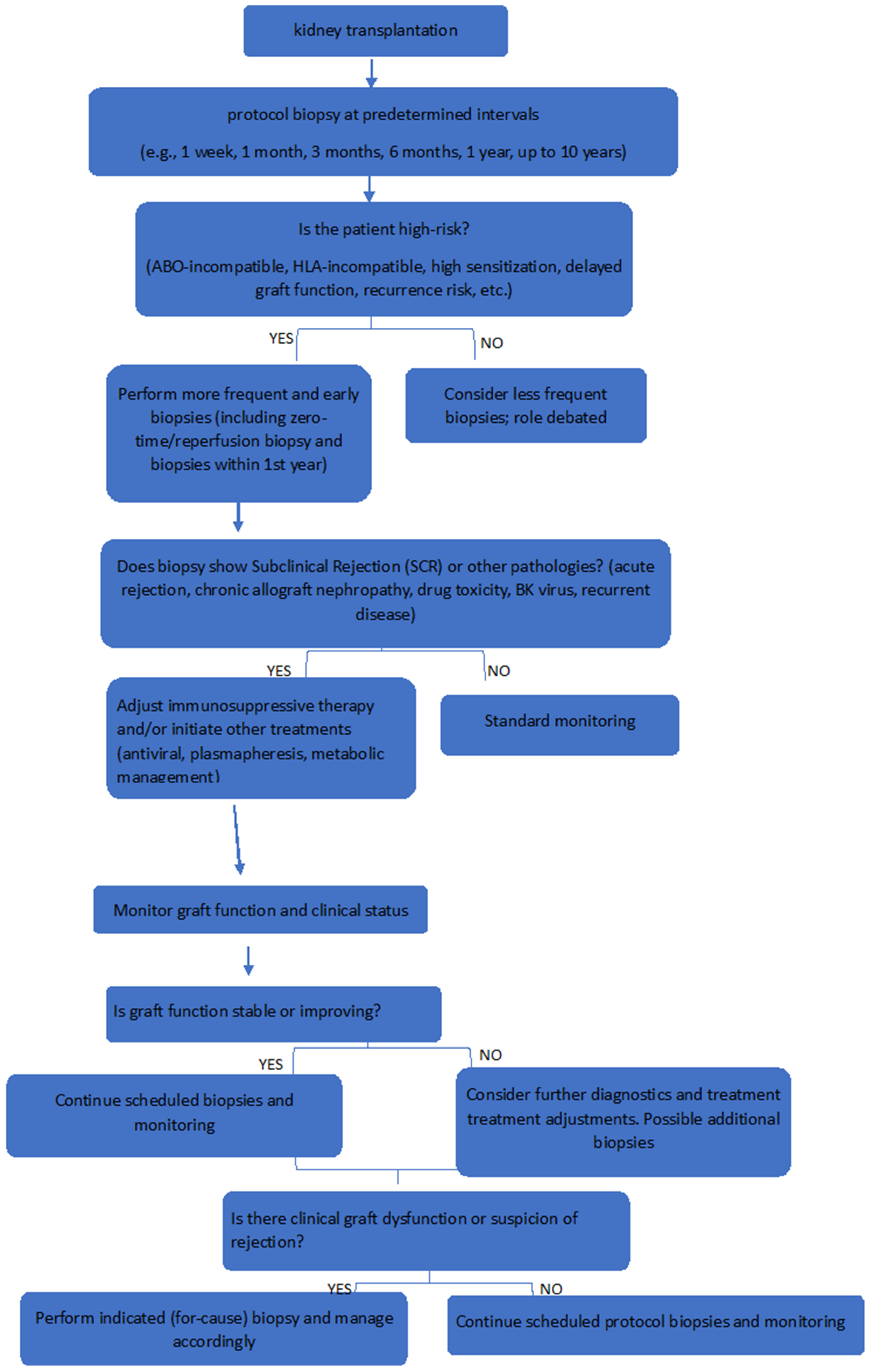 Protocol Biopsies in Kidney Transplant Recipients: Current Practice ...