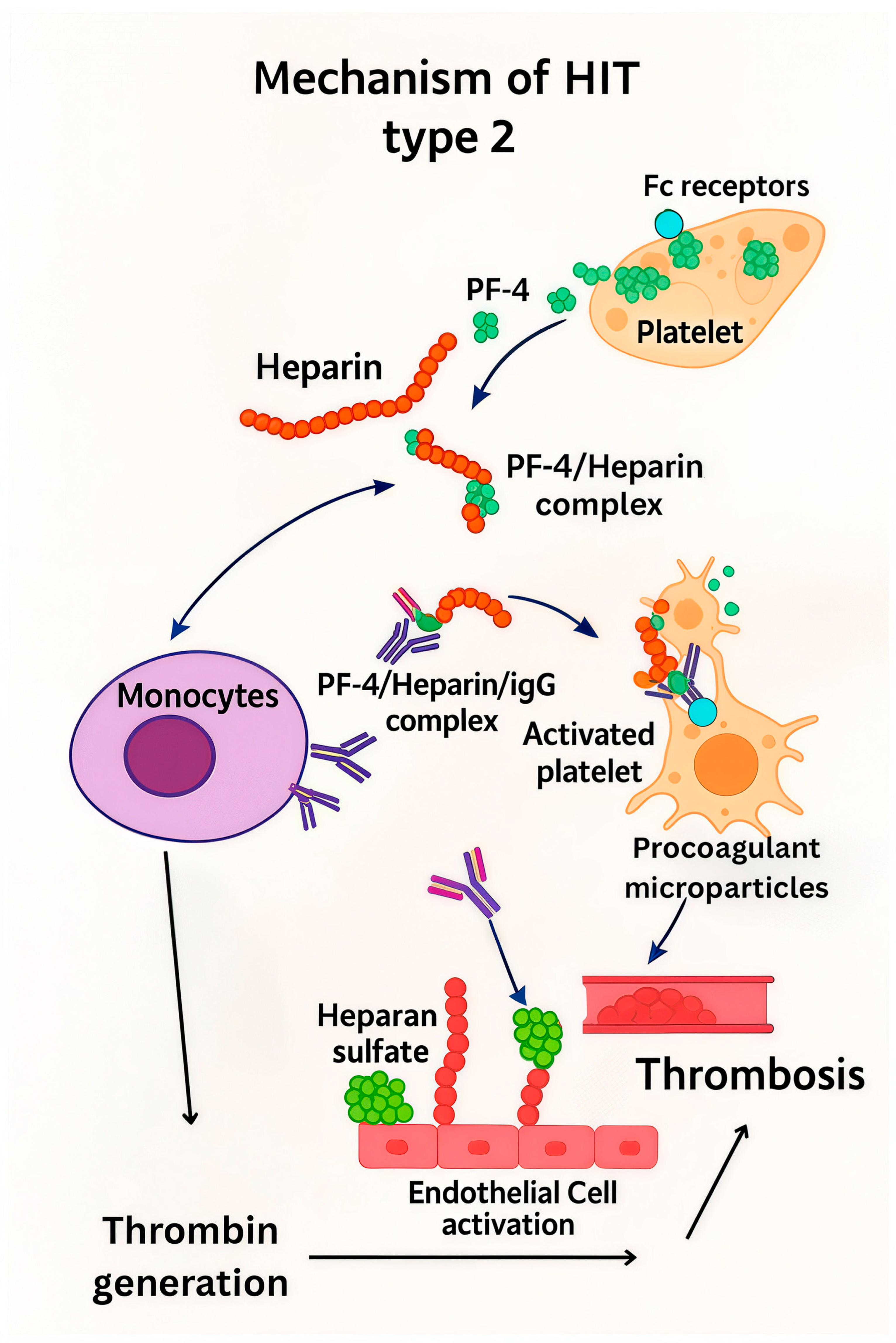 Alternative Anticoagulation for Patients with Heparin-Induced ...