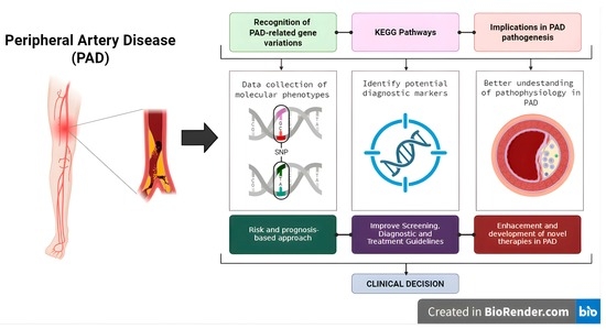 Genetic Insights into Peripheral Artery Disease: A Narrative Review | MDPI