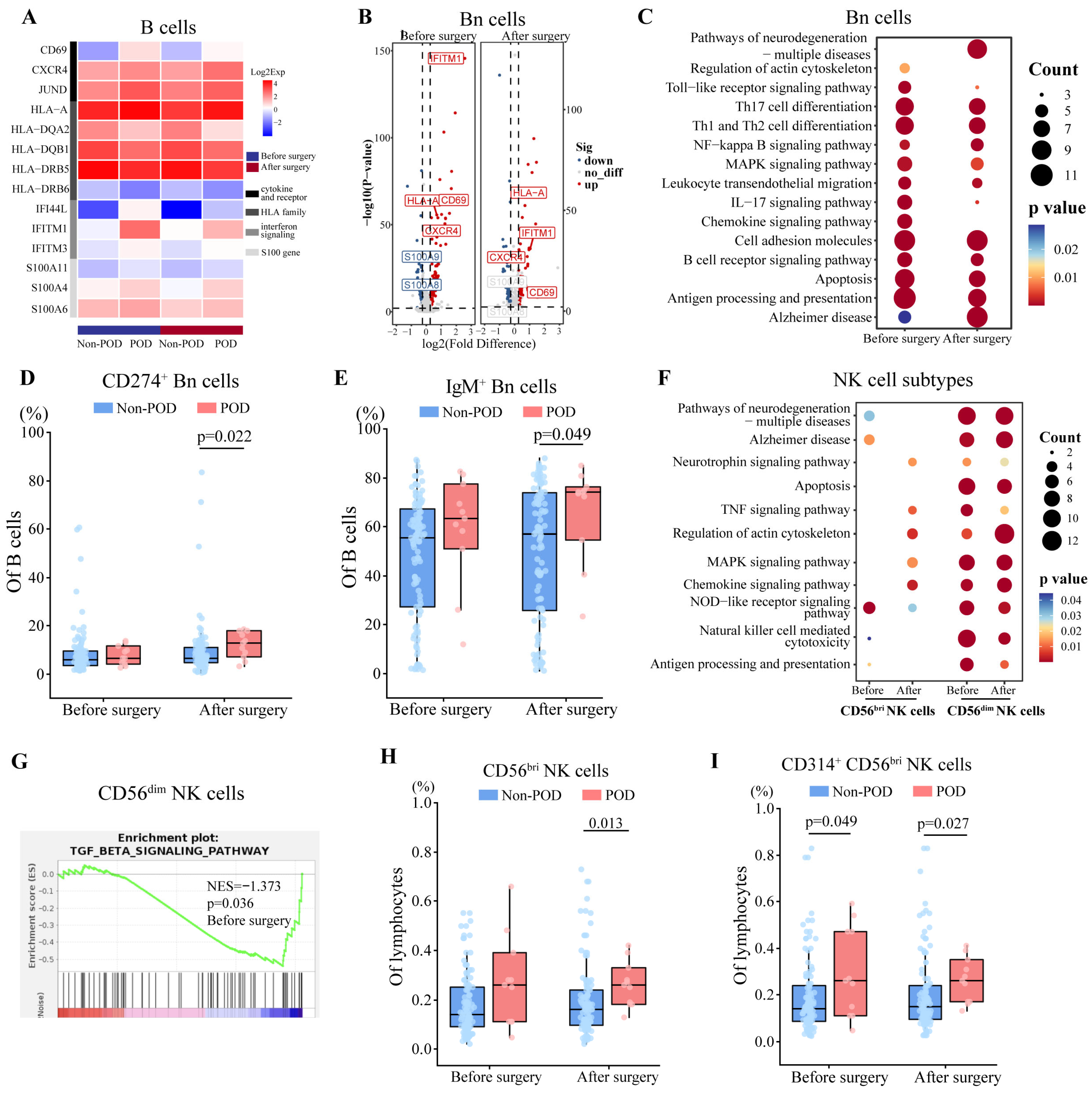 Perioperative Profiles of Immune Cells in Patients with Postoperative ...