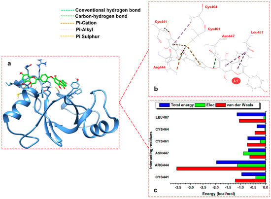 Computational Analysis of the Homologous Mouse Double RINGs Interface ...
