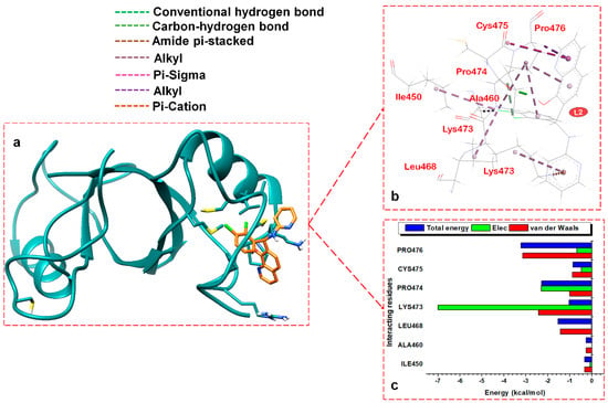 Computational Analysis of the Homologous Mouse Double RINGs Interface ...