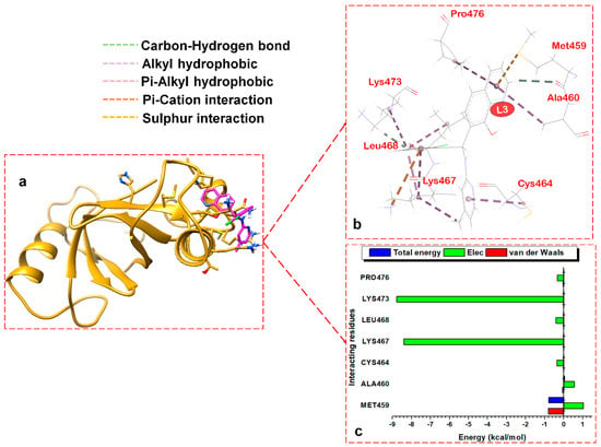 Computational Analysis of the Homologous Mouse Double RINGs Interface ...