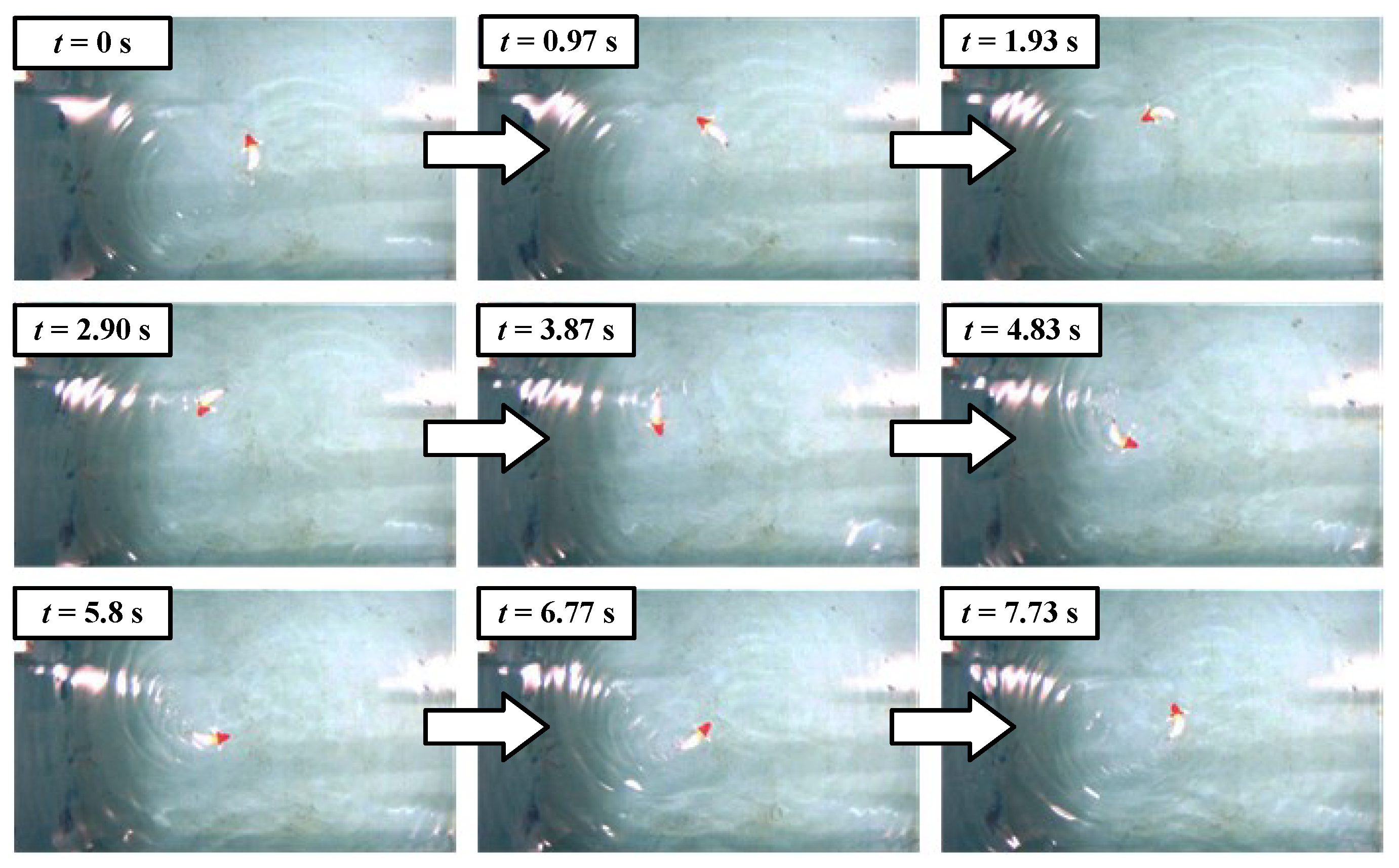 Design and Analysis of a Novel Bionic Tensegrity Robotic Fish with a ...
