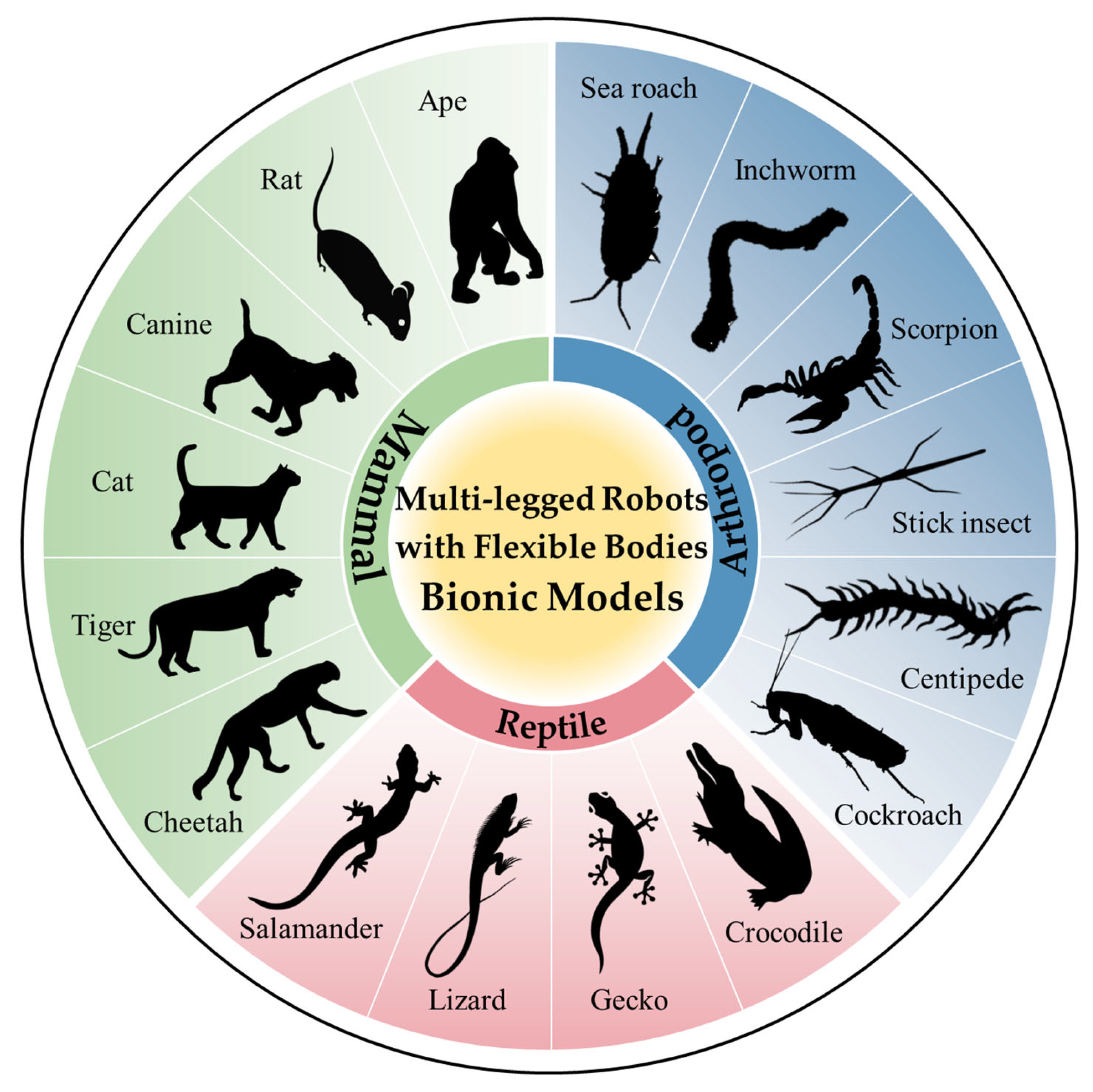 Bionic Multi-Legged Robots with Flexible Bodies: Design, Motion, and ...