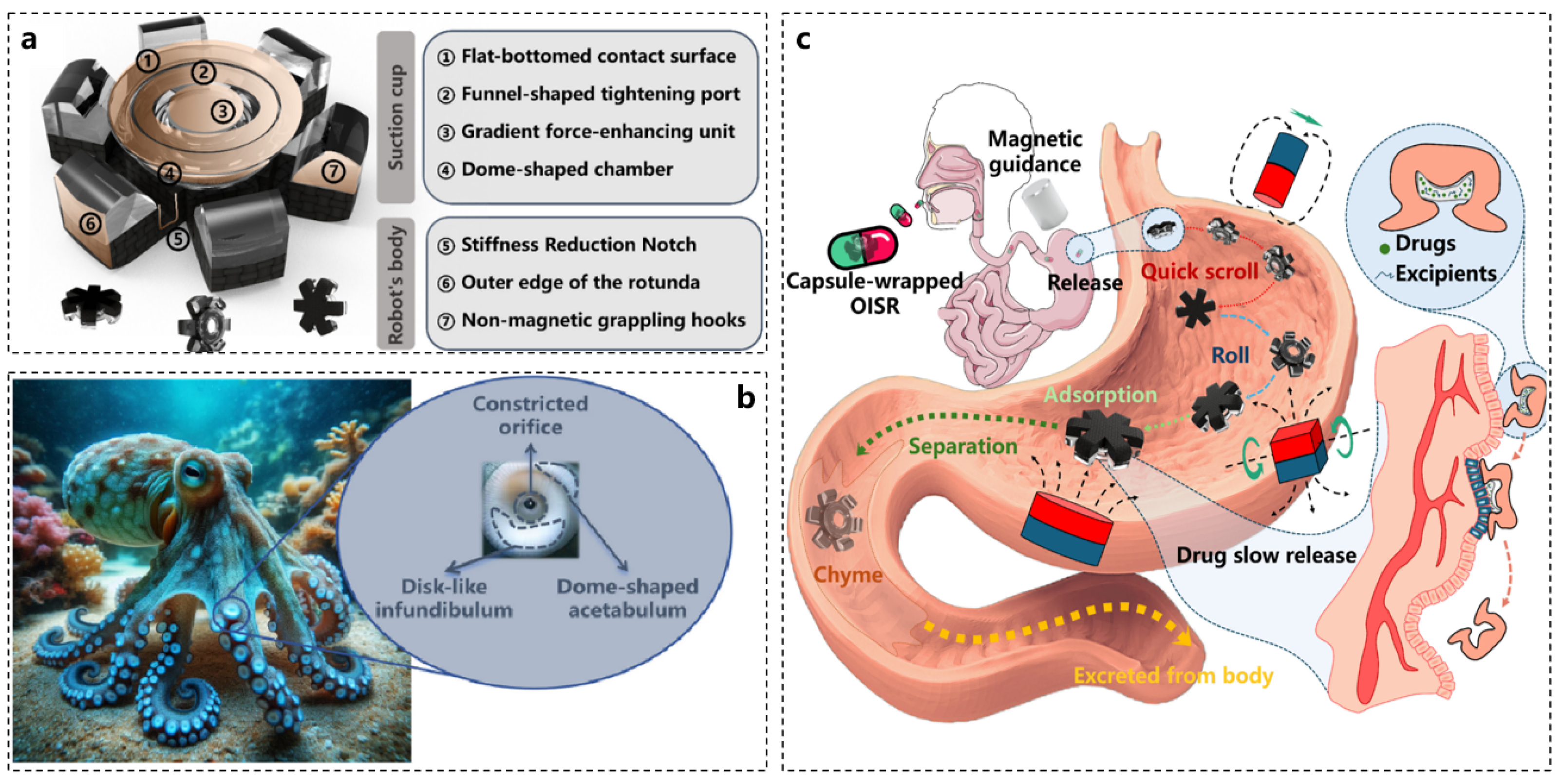 Learning from Octopuses: Cutting-Edge Developments and Future ...