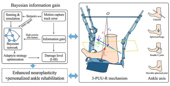 Development of a Bayesian Network and Information Gain-Based Axis ...