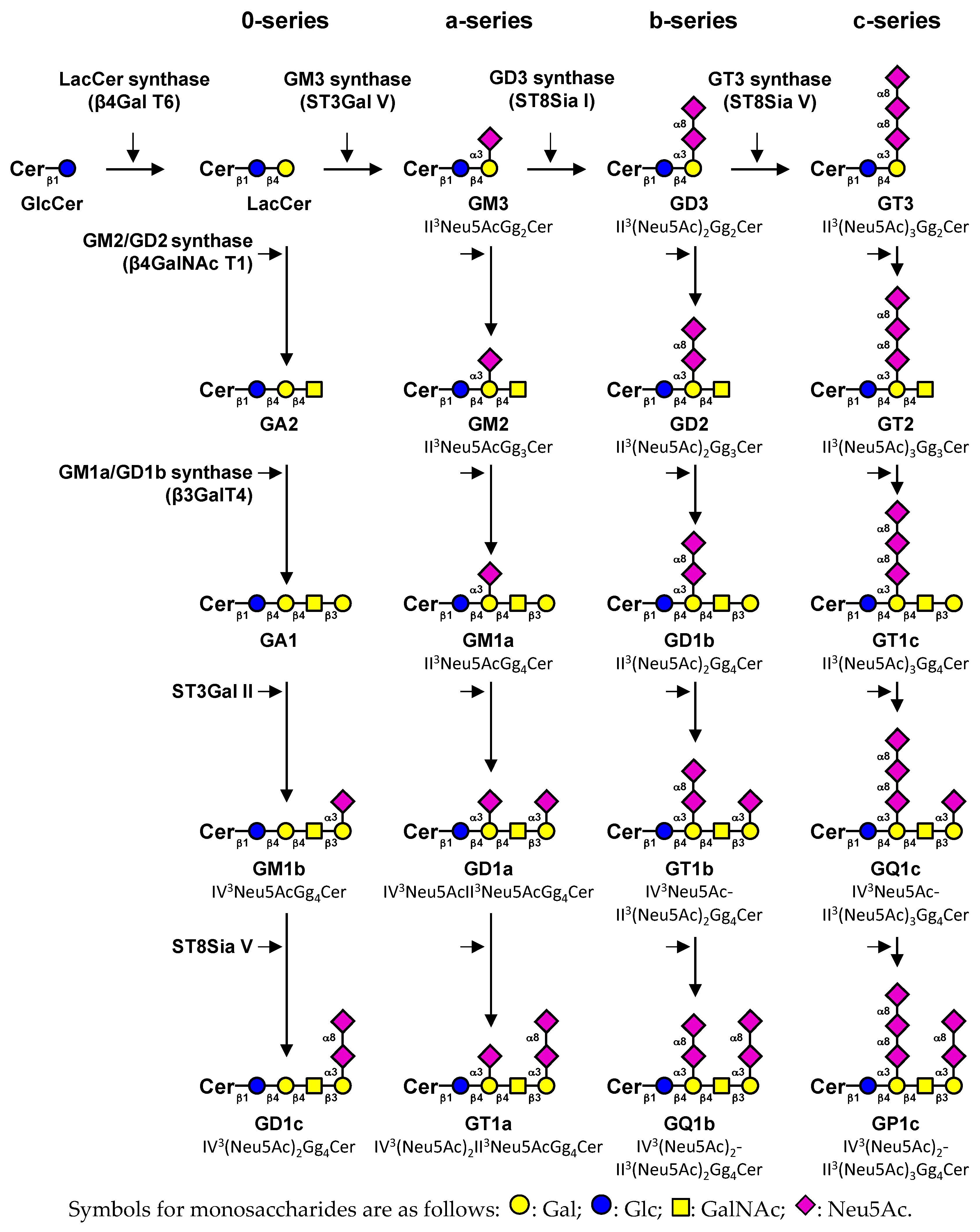 Gangliosides: The Double-Edge Sword of Neuro-Ectodermal Derived Tumors ...