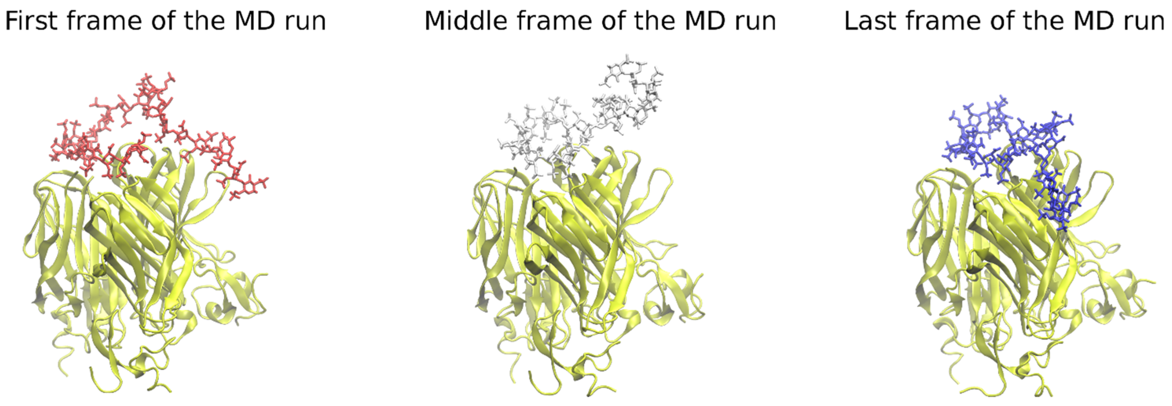 Advanced Molecular Dynamics Approaches to Model a Tertiary Complex ...