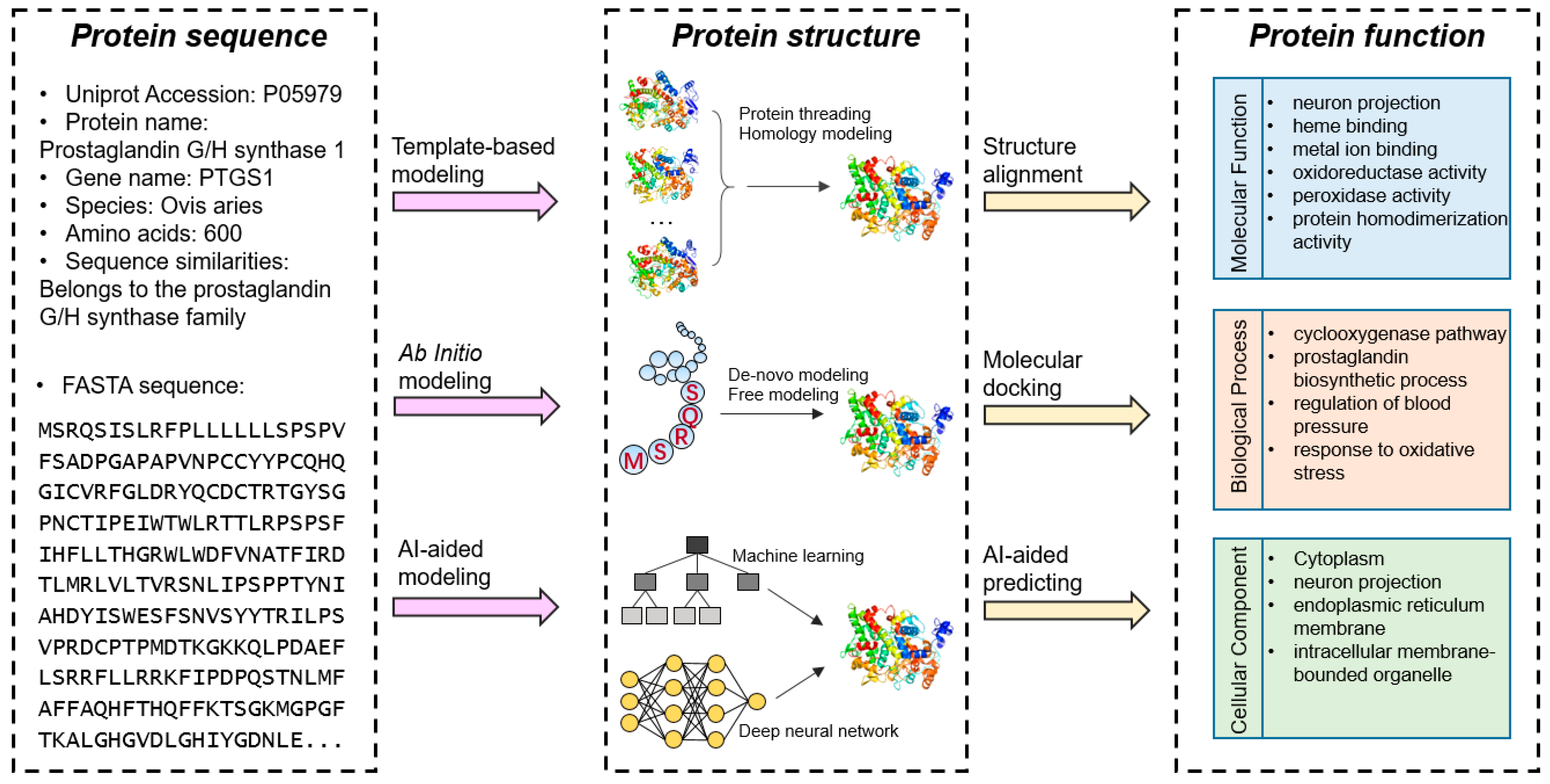 Advances in Computational Intelligence-Based Methods of Structure and Function Prediction of ...