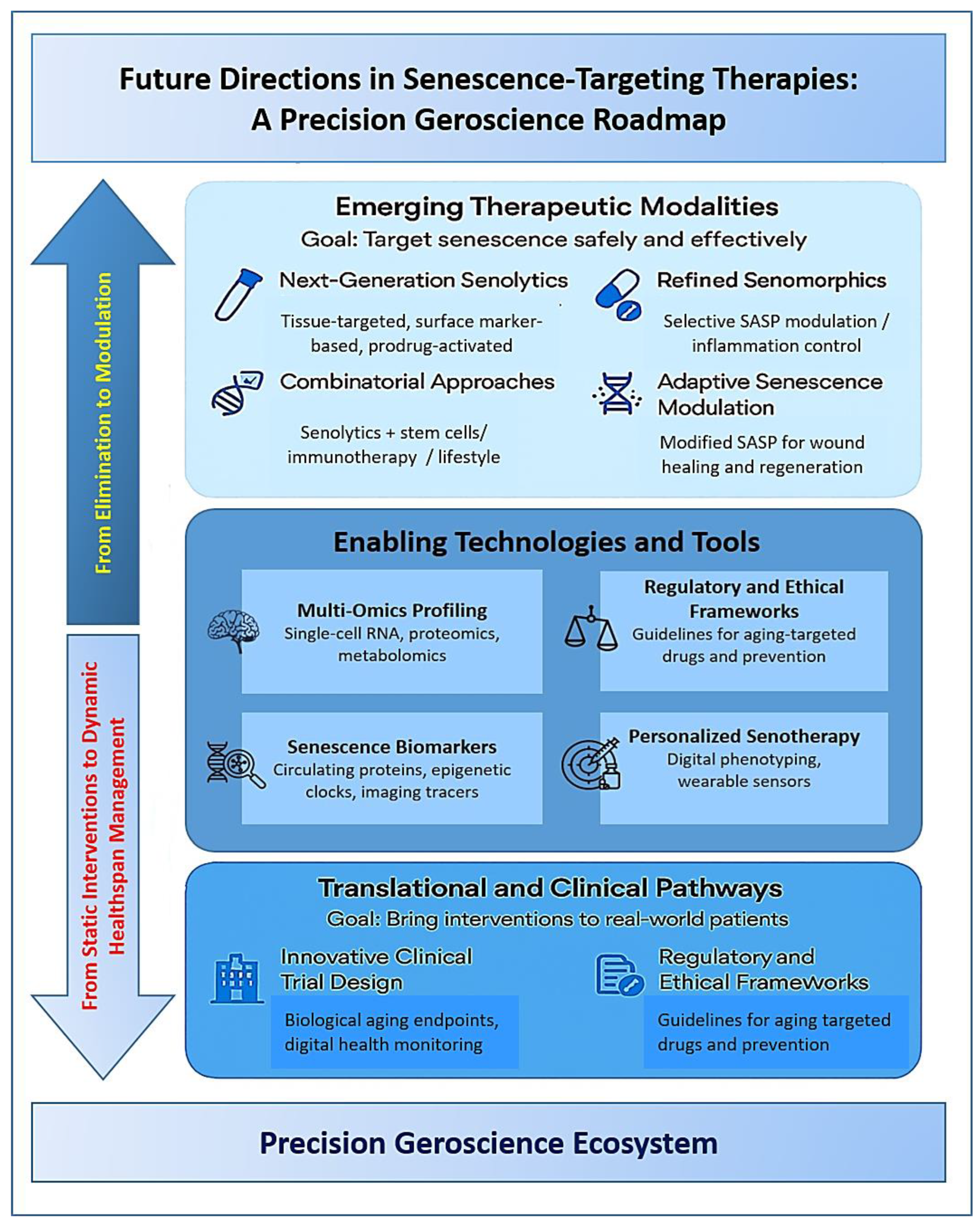 Targeting Senescence: A Review of Senolytics and Senomorphics in Anti ...