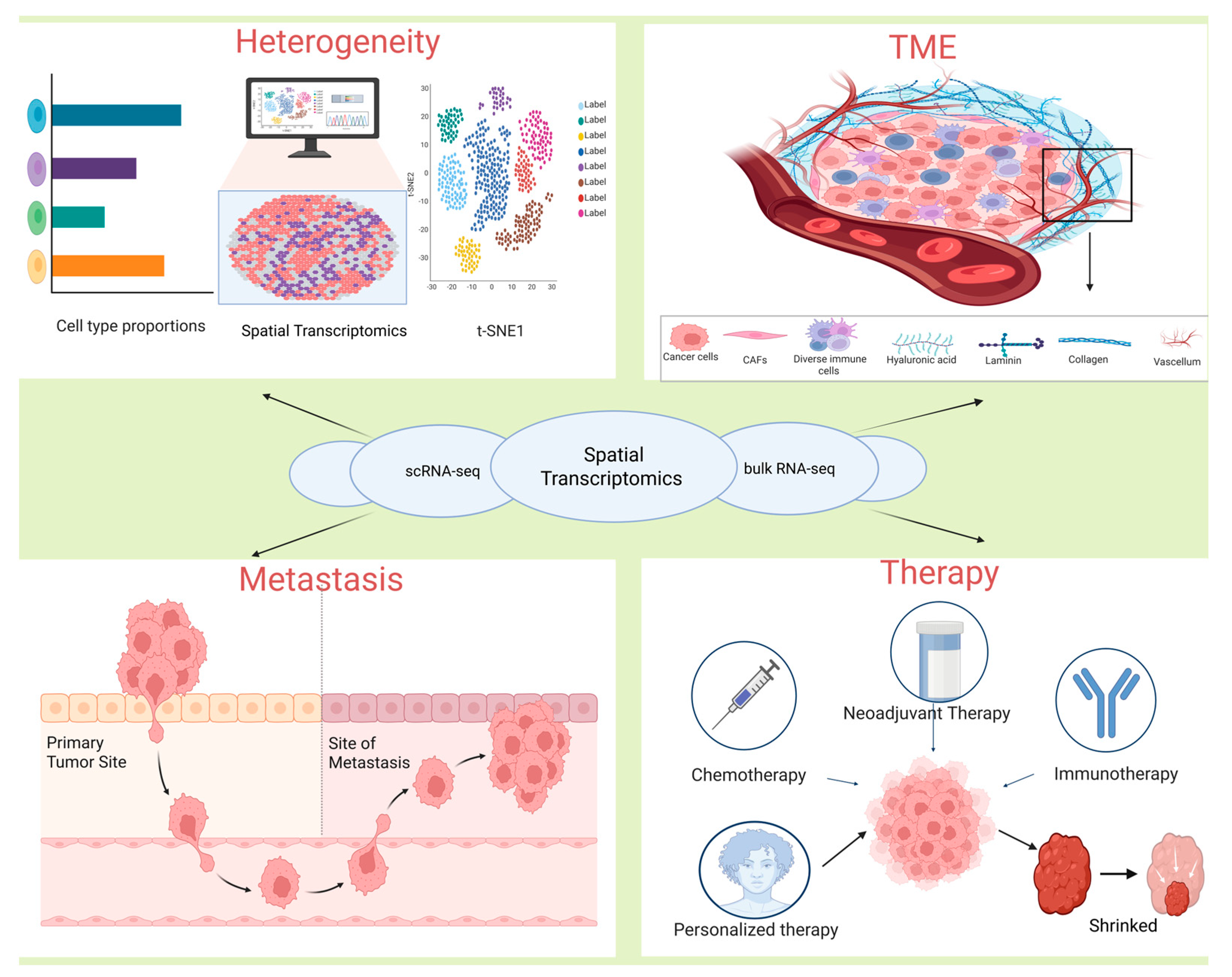 Spatial Transcriptomics Decodes Breast Cancer Microenvironment ...