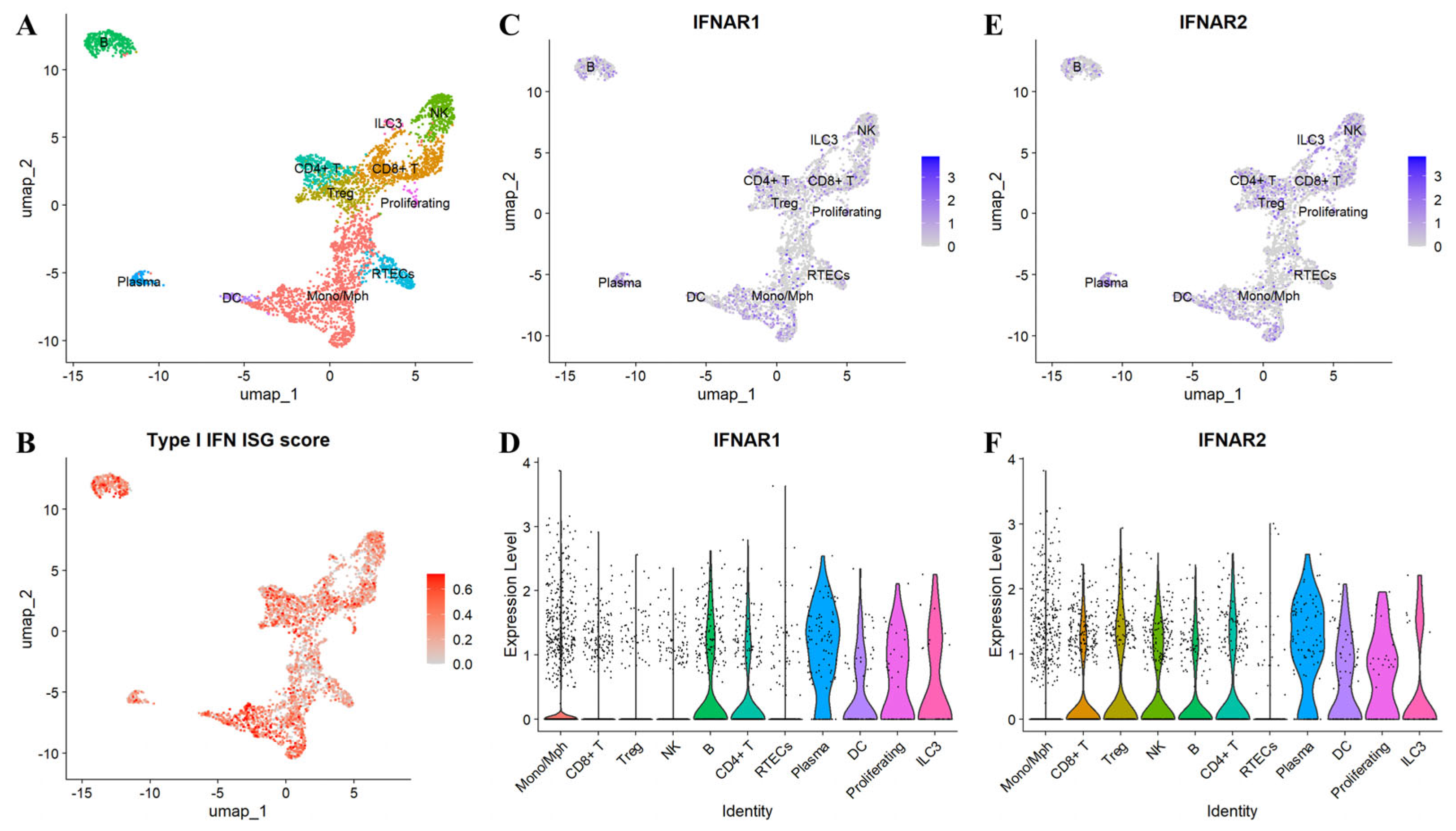 The Type I Interferon Axis in Systemic Autoimmune Diseases: From ...