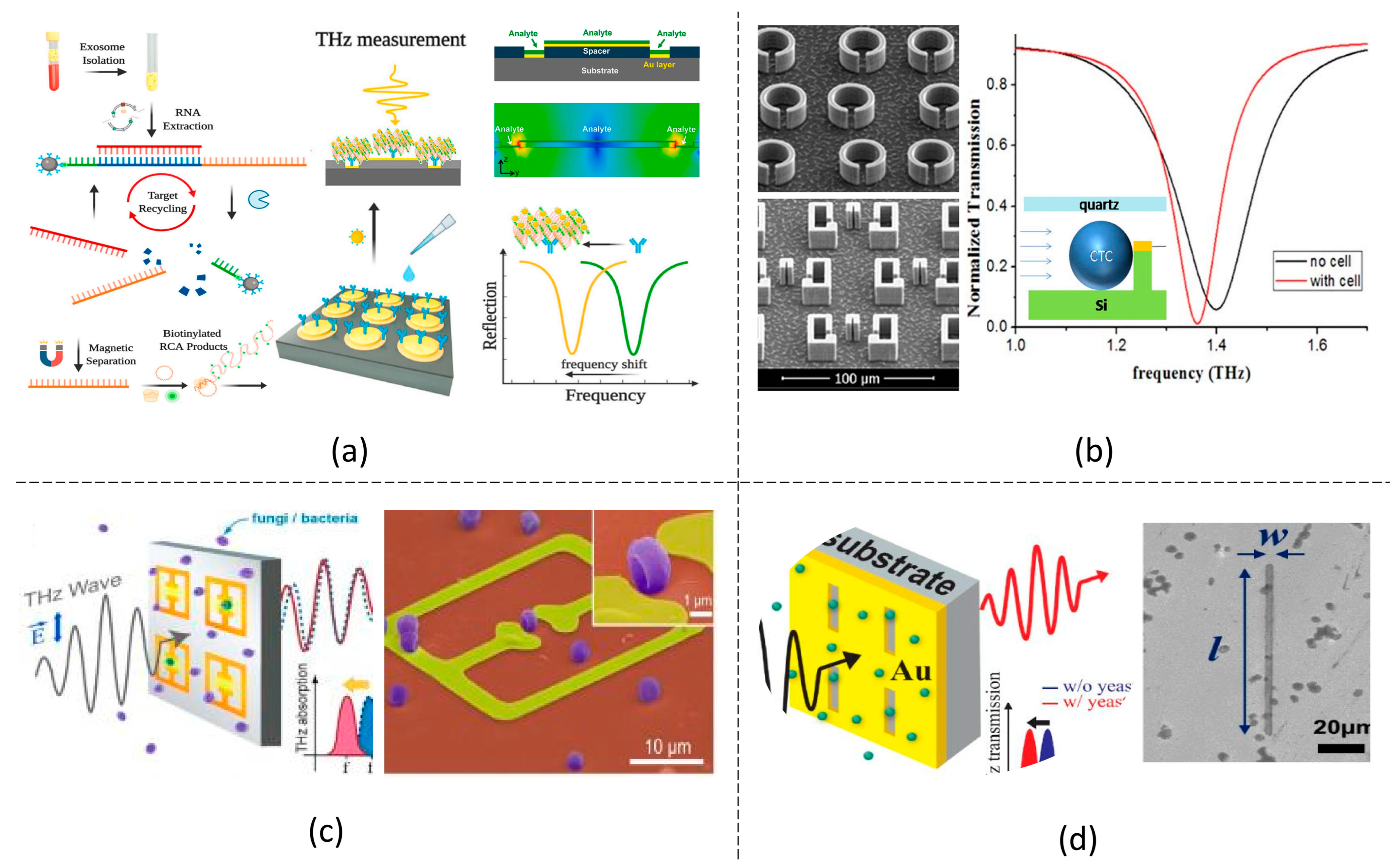 Terahertz Metamaterials for Biosensing Applications: A Review | MDPI