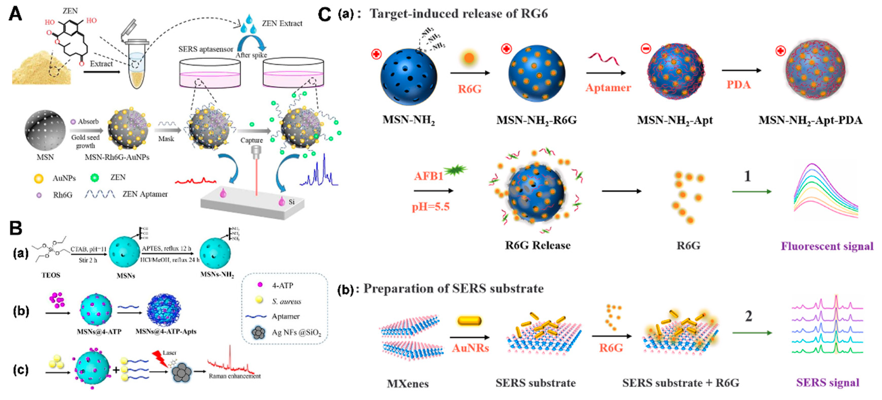 A Review of Current Developments in Functionalized Mesoporous Silica ...