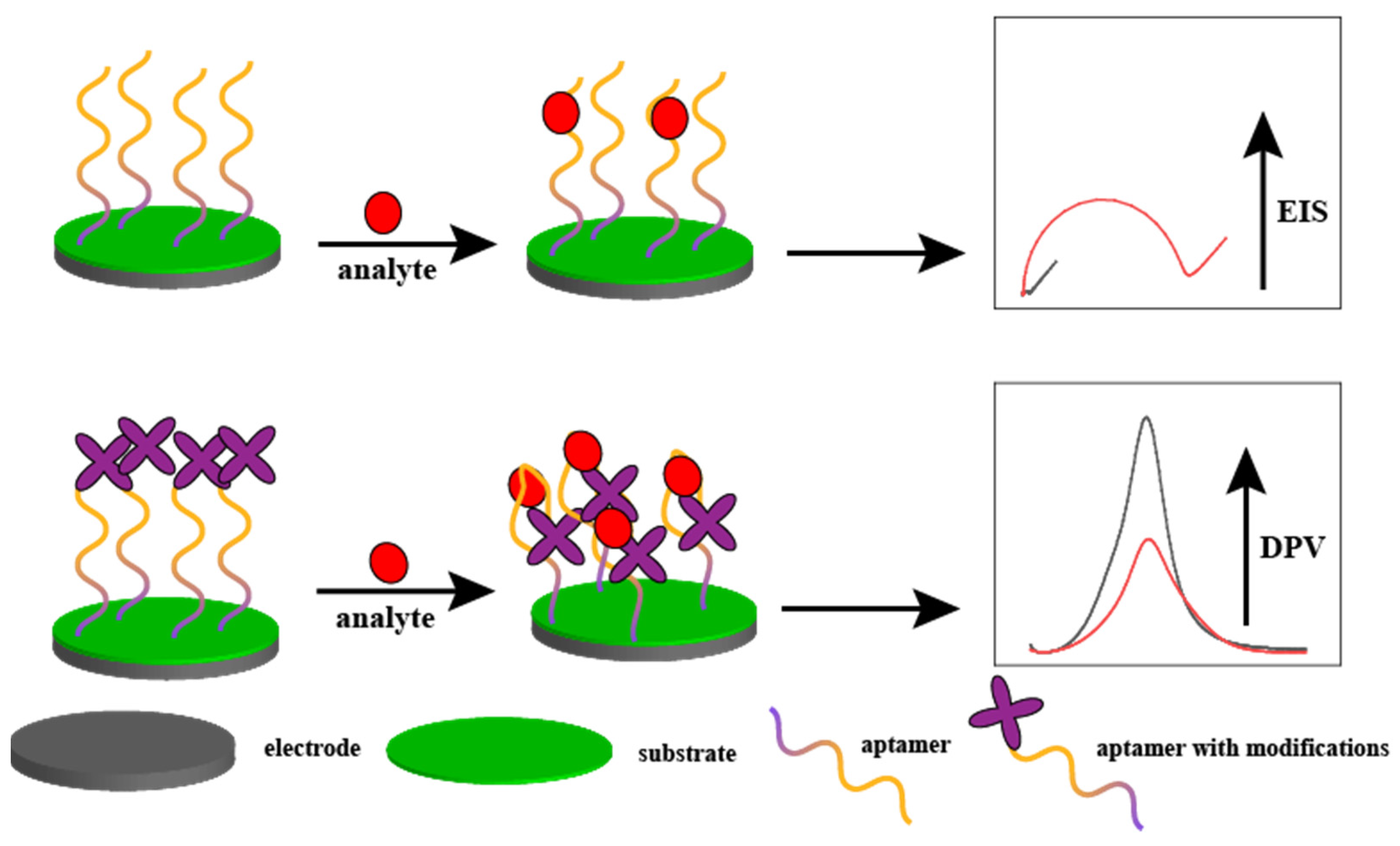 A Brief Review of Aptamer-Based Biosensors in Recent Years | MDPI