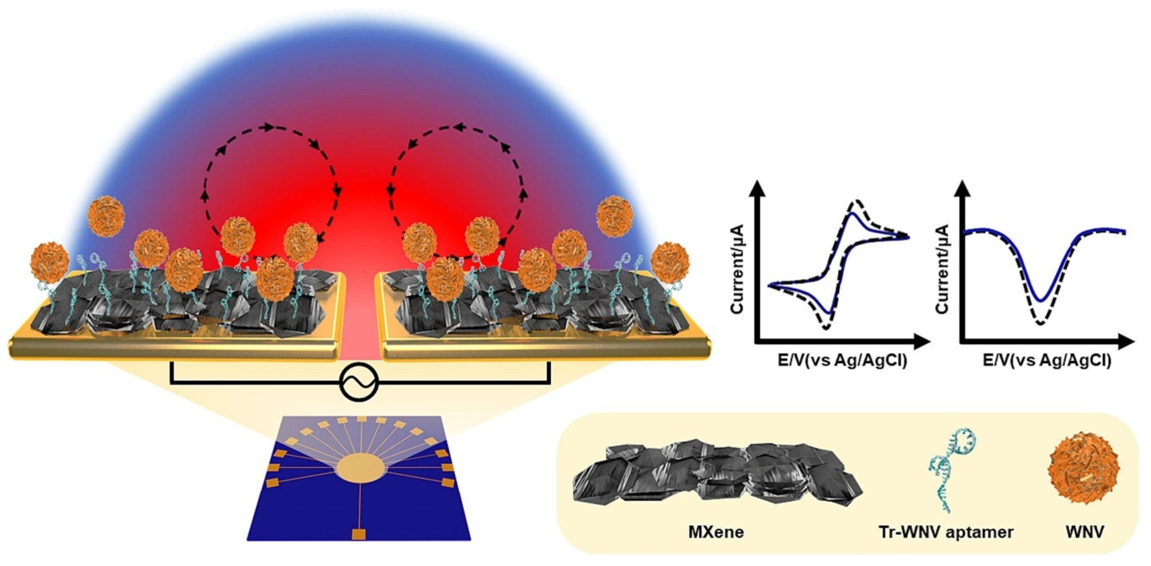 MXene-Based Electrochemical Biosensors: Advancing Detection Strategies ...