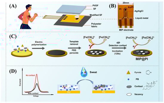 A Wearable Molecularly Imprinted Electrochemical Sensor for Cortisol ...