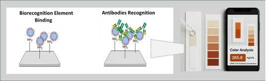 Cellulose-Based Colorimetric Test Strips for SARS-CoV-2 Antibody ...