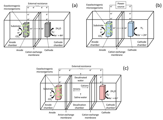 Recent Advances in Scaling up Bioelectrochemical Systems: A Review | MDPI