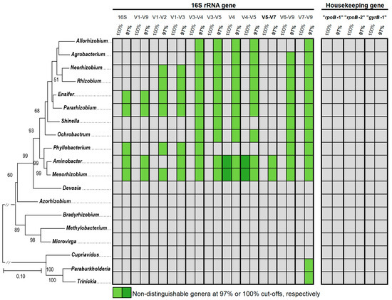 Comparative Evaluation of 16S rRNA and Housekeeping Gene-Specific ...