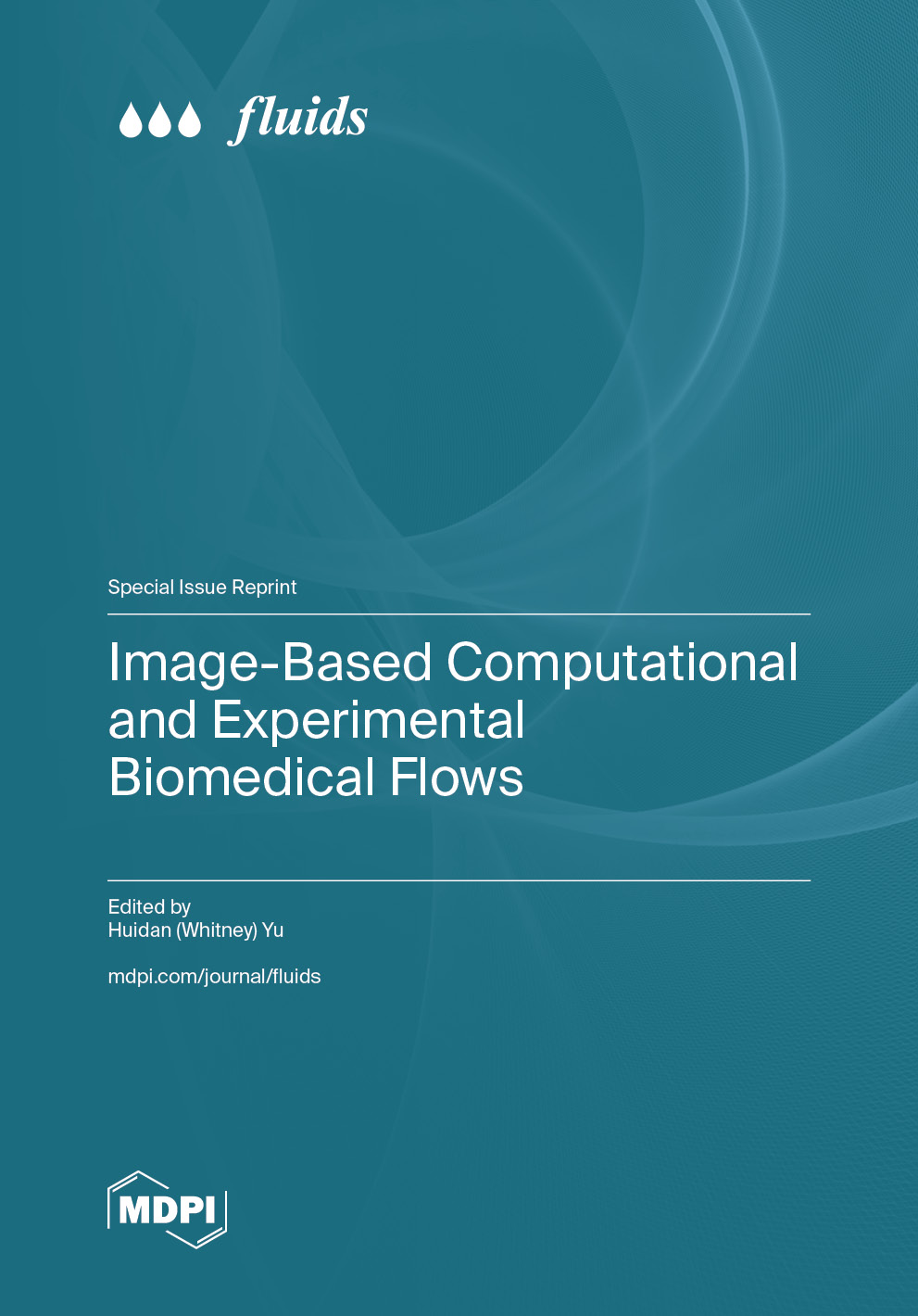 Image Based Computational And Experimental Biomedical Flows Mdpi Books