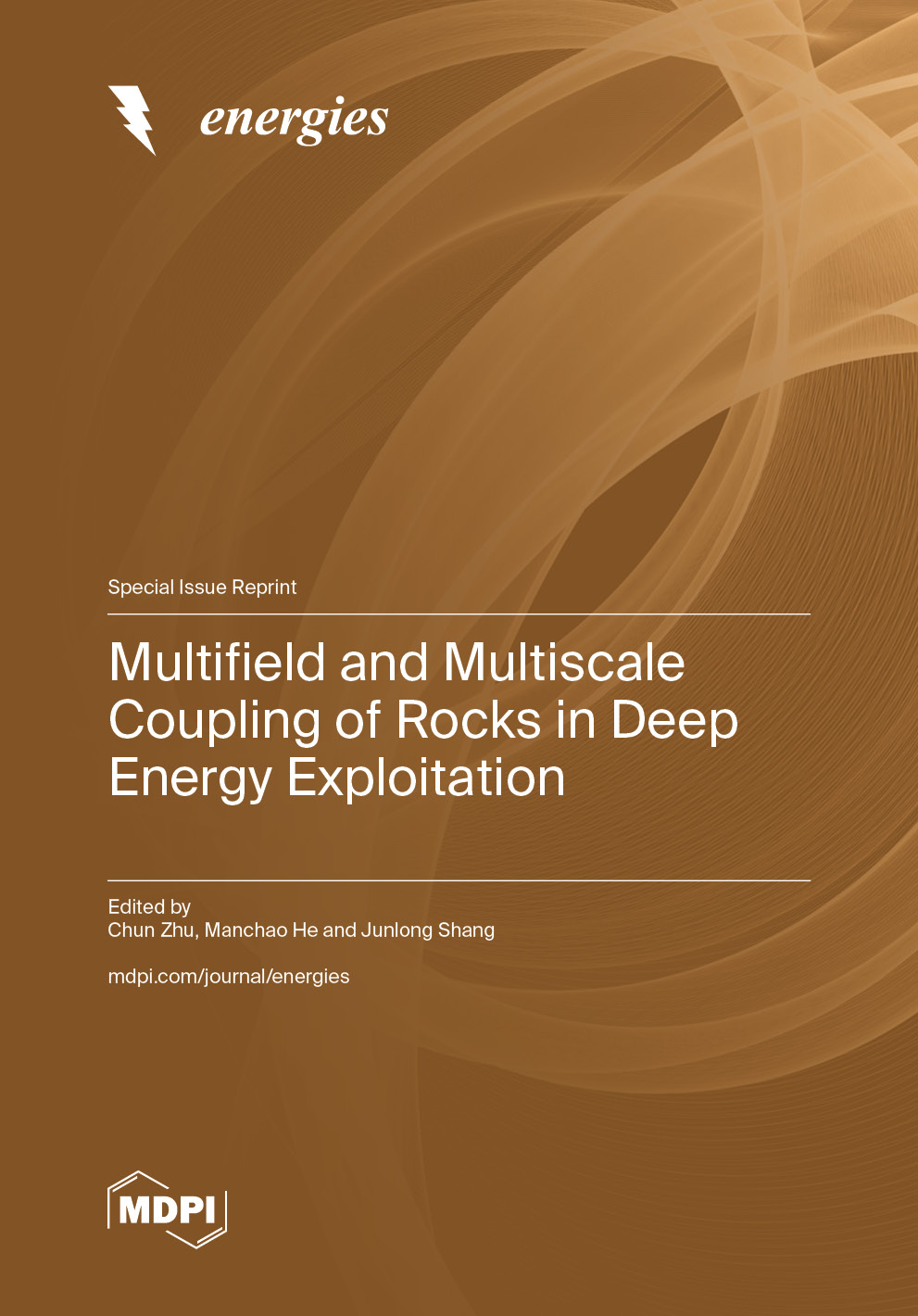 Multifield And Multiscale Coupling Of Rocks In Deep Energy Exploitation Mdpi Books