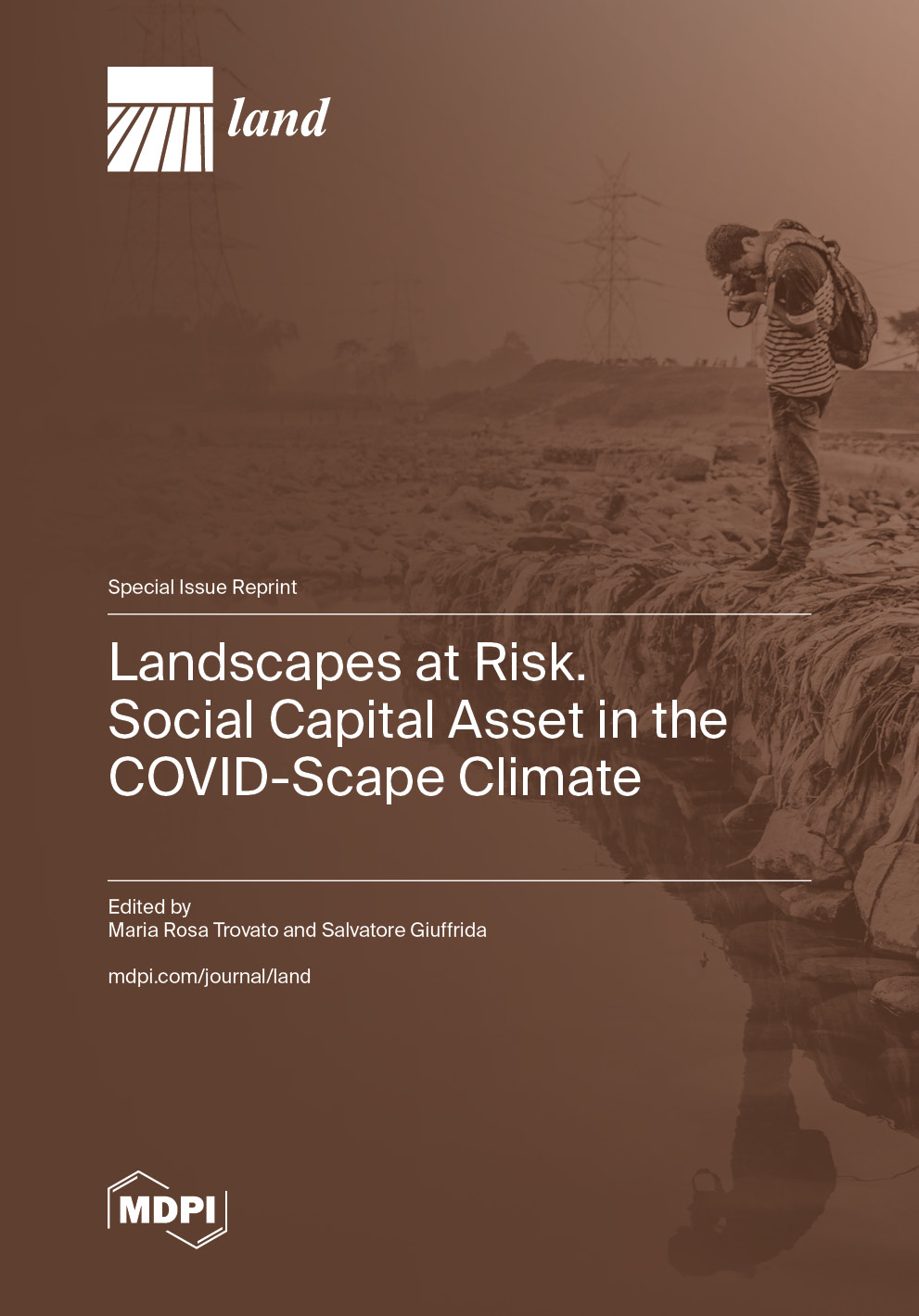 Landscapes at Risk. Social Capital Asset in the COVID-Scape Climate | MDPI Books